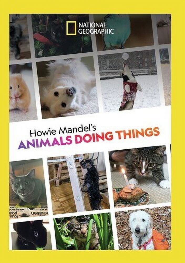 Howie Mandel's Animals Doing Things (DVD), National Geographic, Drama ...