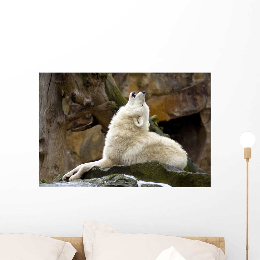 Howling Wolf Wall Mural by Wallmonkeys Peel and Stick Graphic (24 in W ...