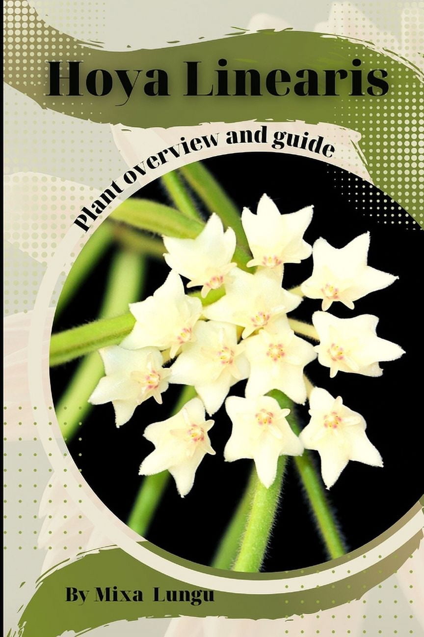 Hoya Linearis: Plant overview and guide (Paperback) by Mixa Lungu ...