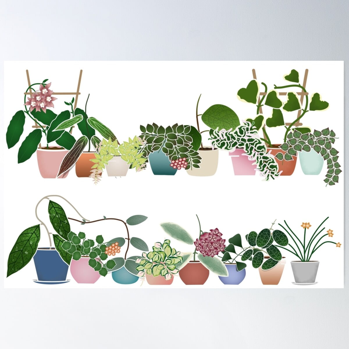 Hoya Obsession Poster Wall Art, Modern Wall Decor For Living Room ...