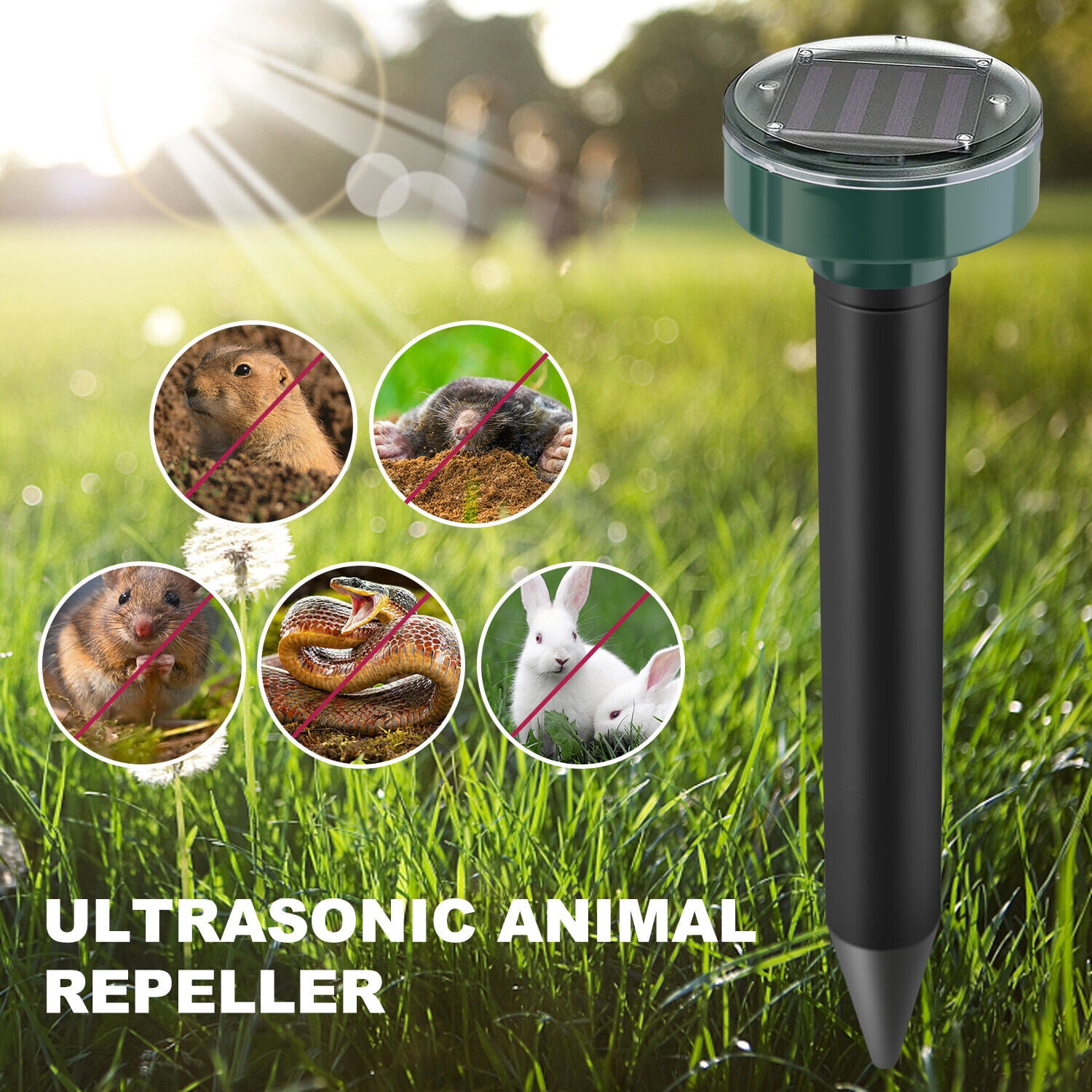 Htwon LED Ultrasonic Solar Powered Scarer Rat Repeller Cat Deterrent ...