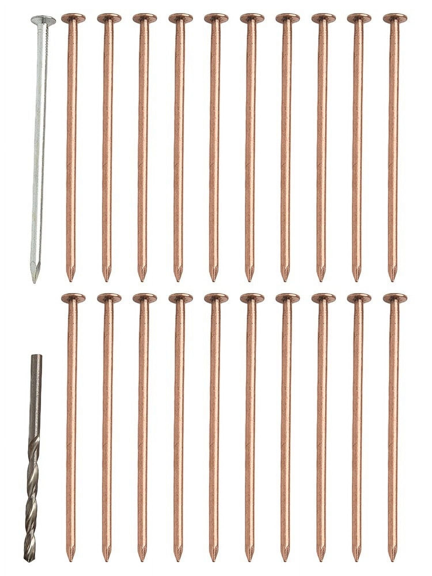 Grimmstr Copper Nails To Killing Trees 3.5 Inch Pure Copper