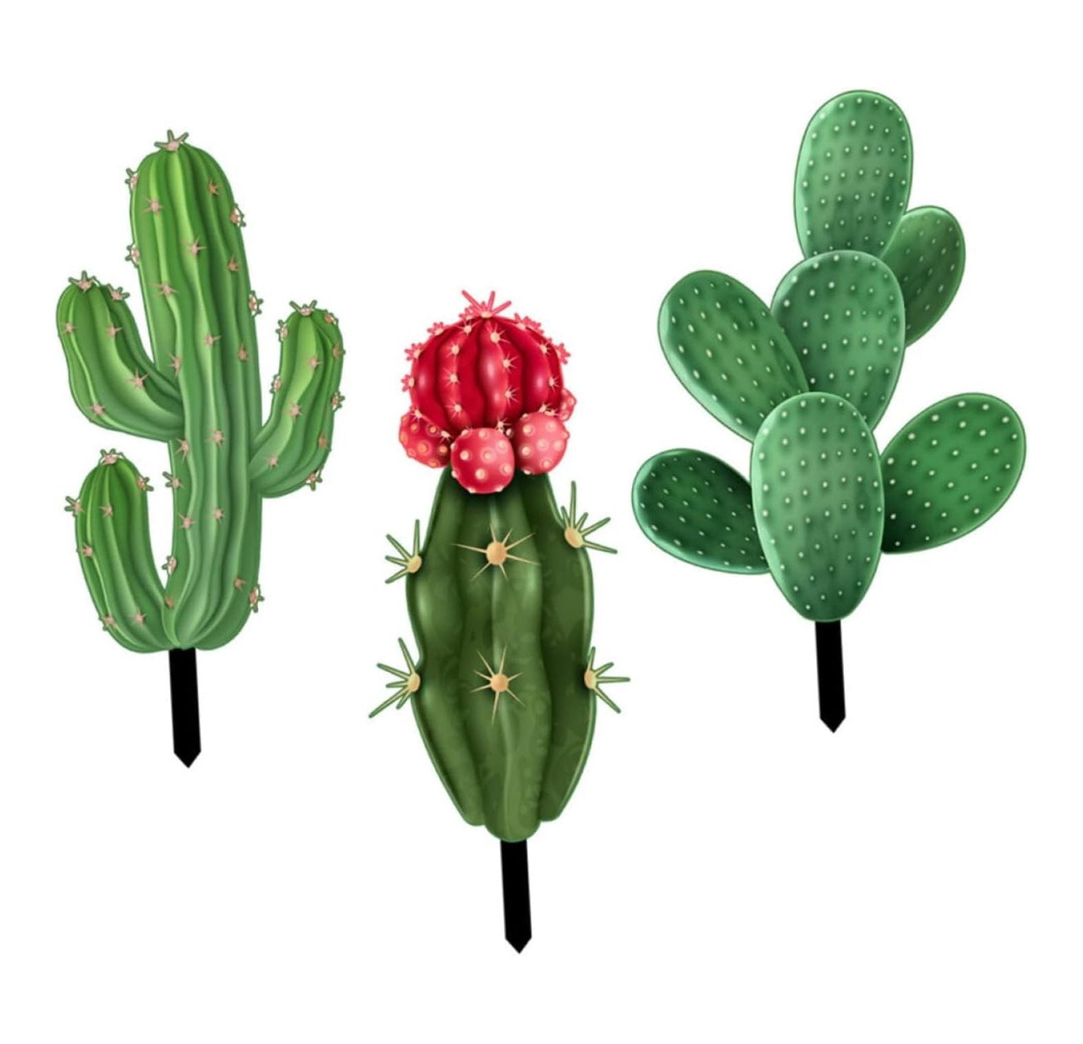 Huang zhong wen 3Pcs Cactus Card Outside House Decor Metal Signs ...