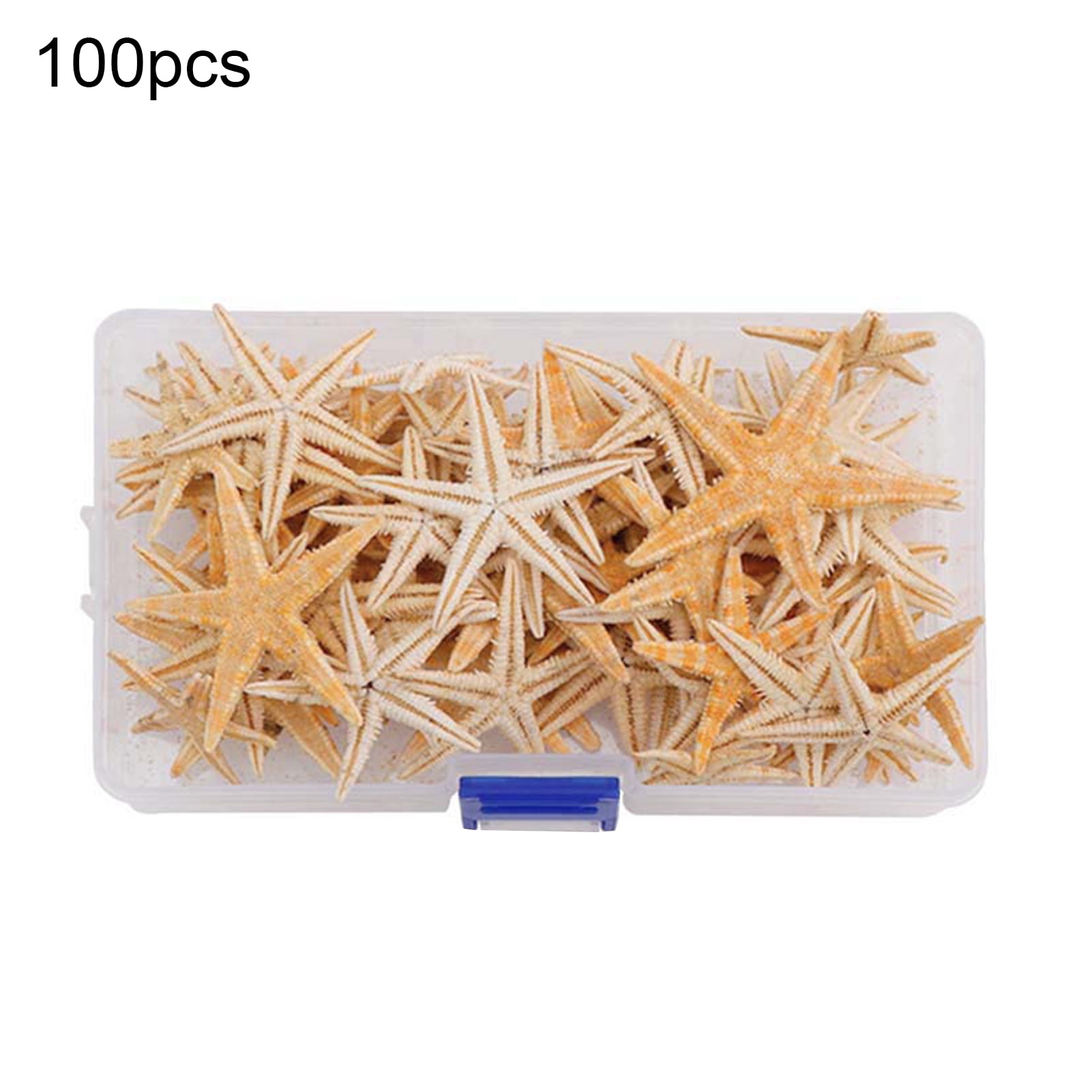 Huanledash 1 Box Starfish Natural Mixed Reusable Realistic White Star ...