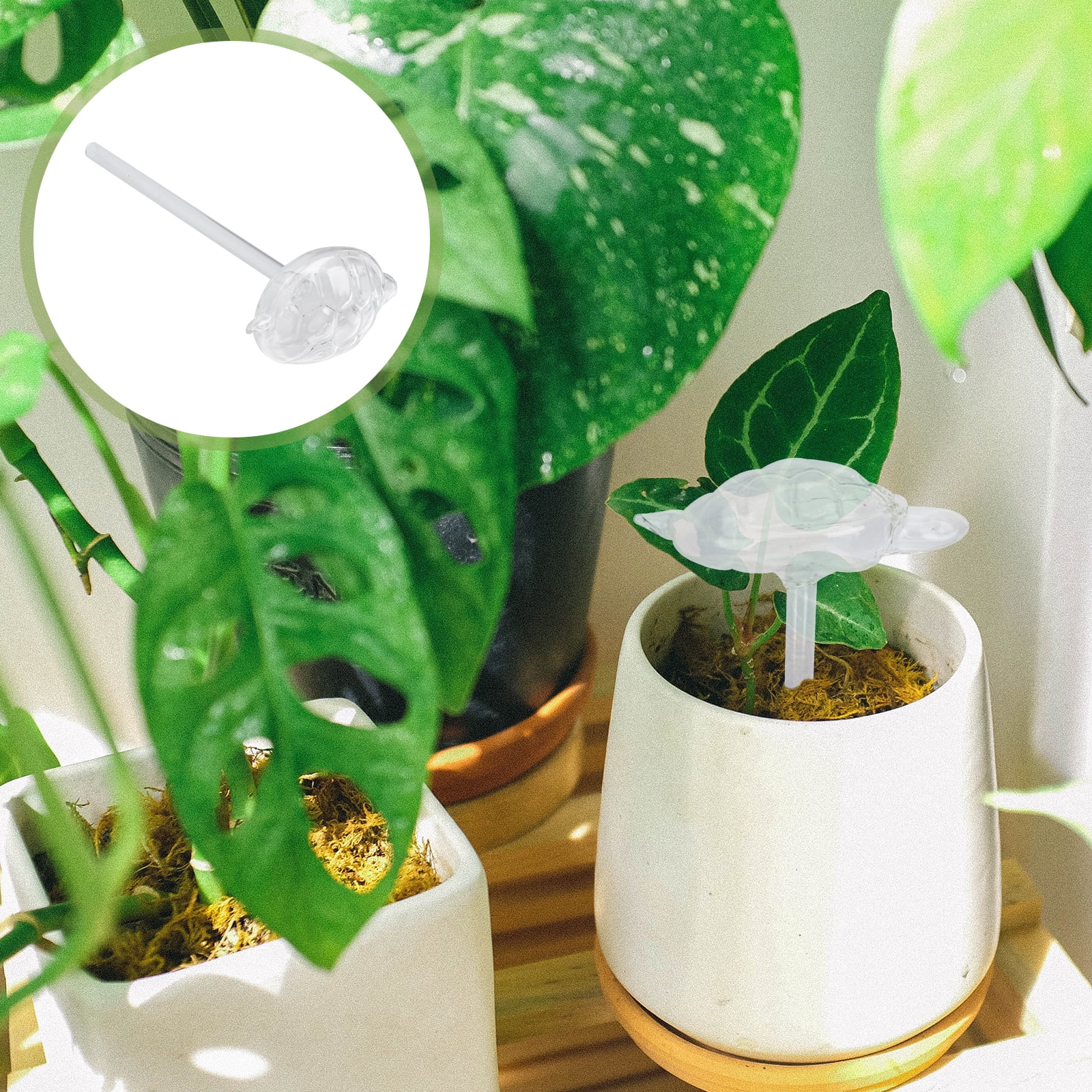 Huaq High borosilicate glass lazy flower waterer automatic watering ...