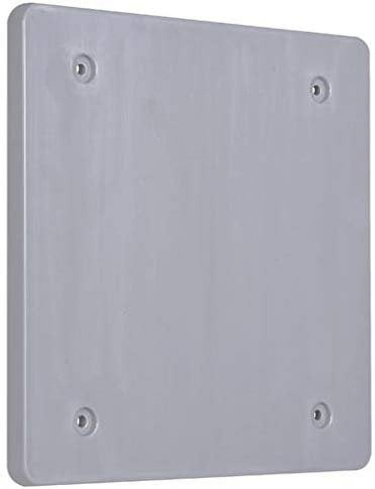 Hubbell Blank Wall Plate Cover - Nonmetallic, Weatherproof, 2 Gang ...