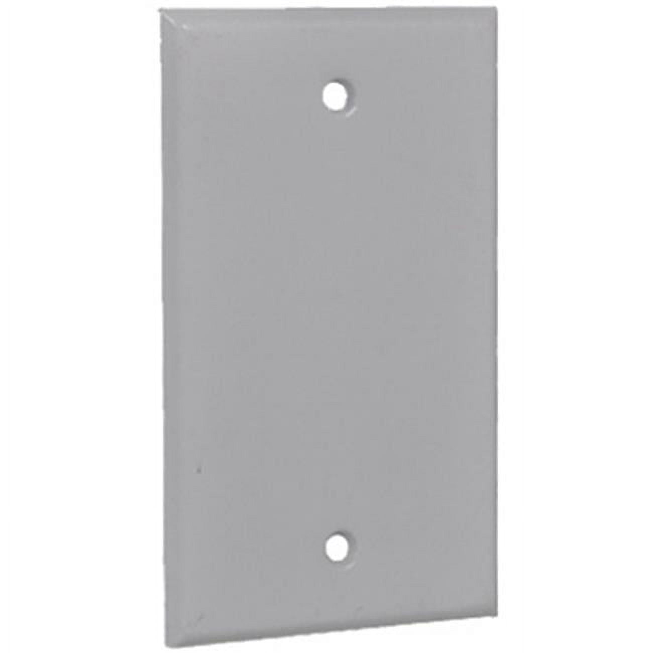 Hubbell Electrical 1BCX 1 Gang Rectangular Blank Cover- Gray - Walmart.com