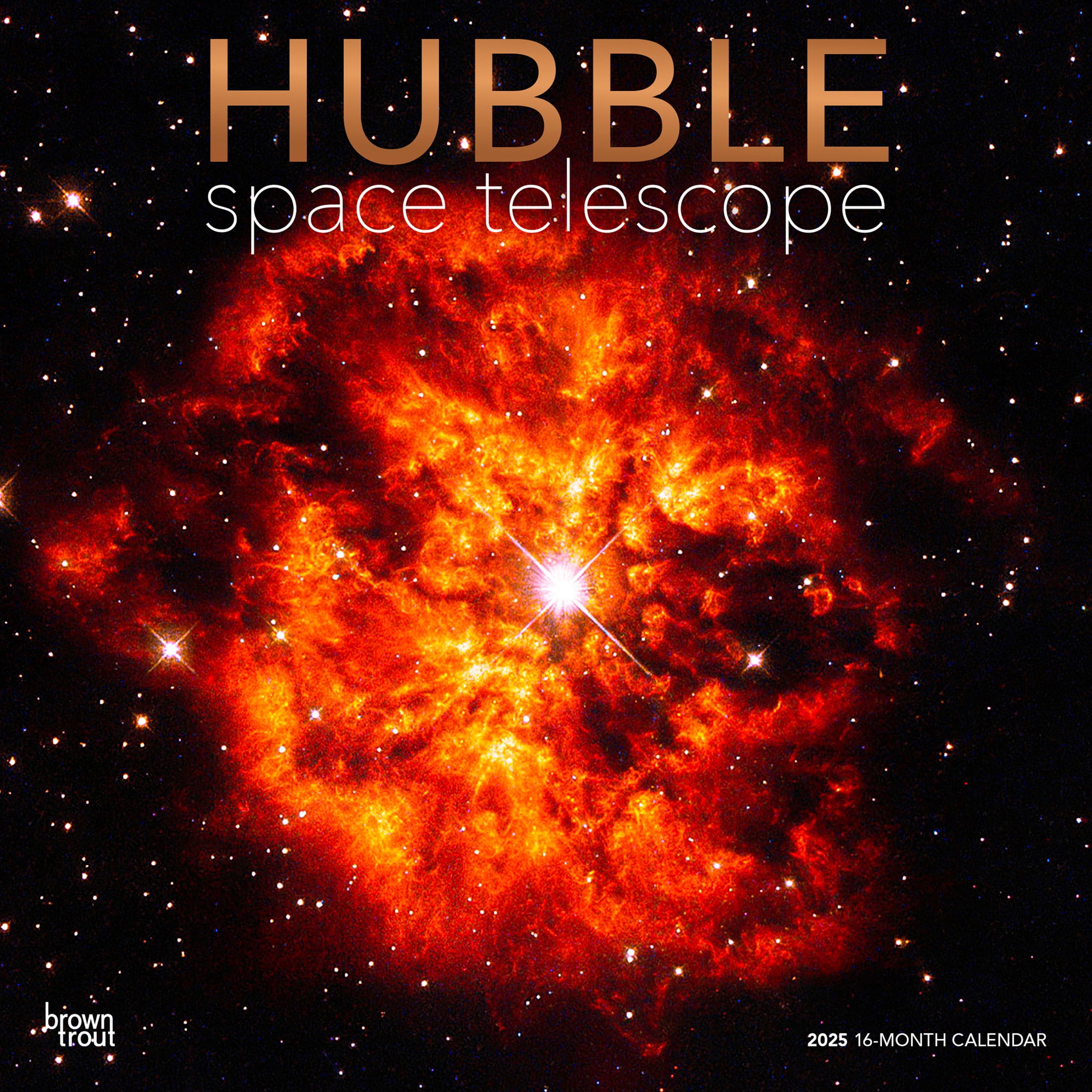 Hubble Space Telescope 2025 12 X 24 Inch Monthly Square Wall Calendar ...