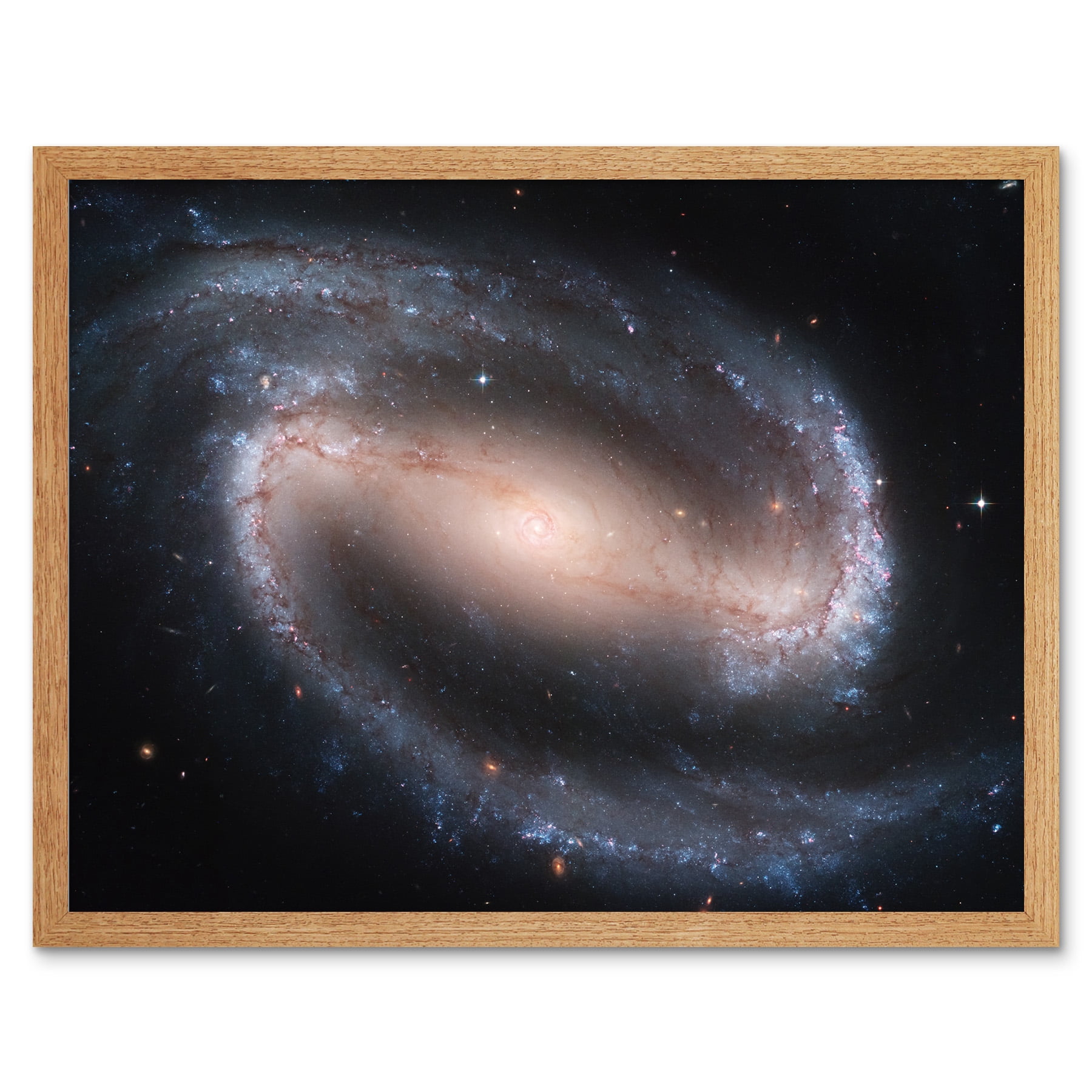Hubble Space Telescope Image Barred Spiral Galaxy NGC 1300 Blue Red ...