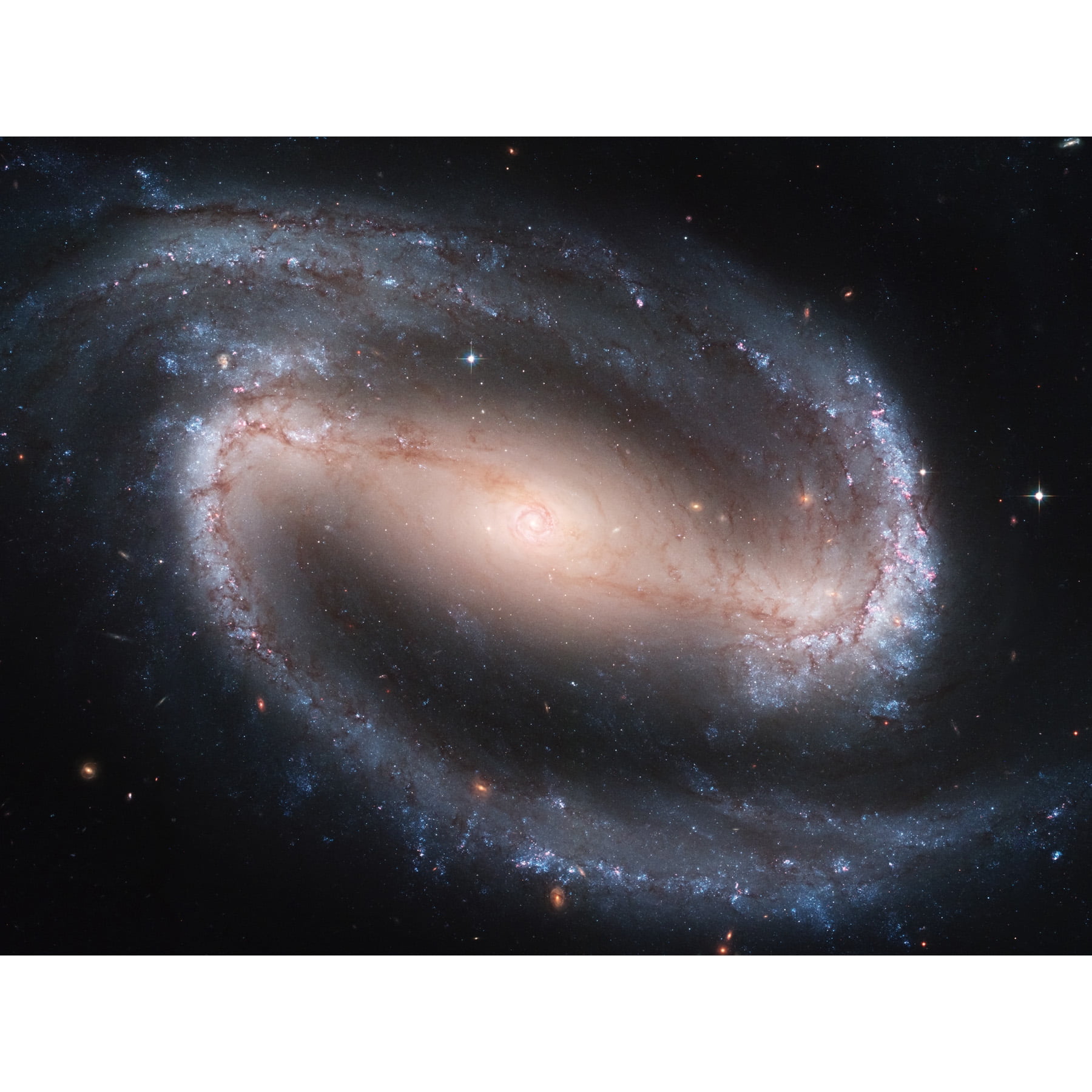 Hubble Space Telescope Image Barred Spiral Galaxy NGC 1300 Blue Red ...