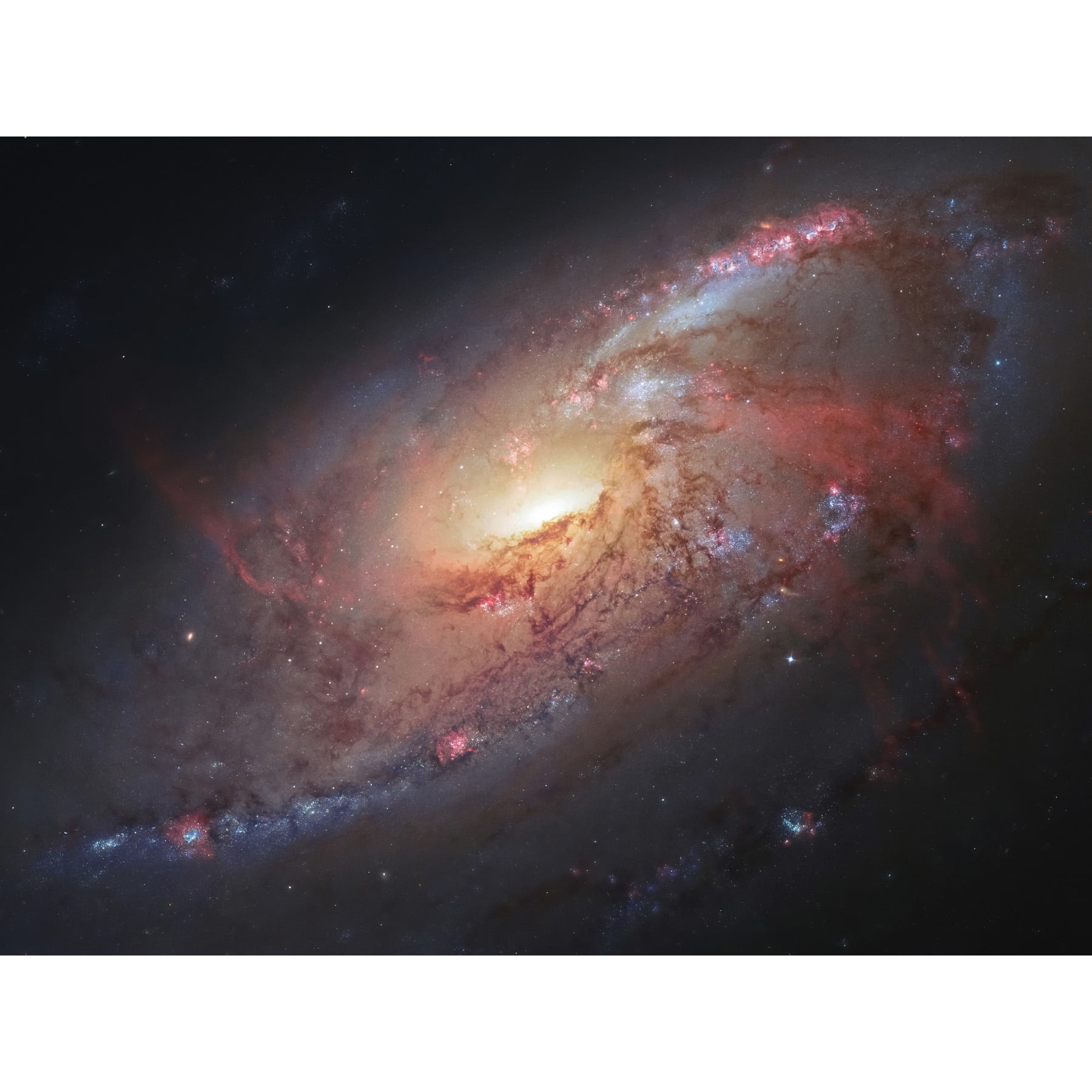 Hubble Space Telescope Image Galaxy M106 Hybrid Photo Of Spiral NGC ...