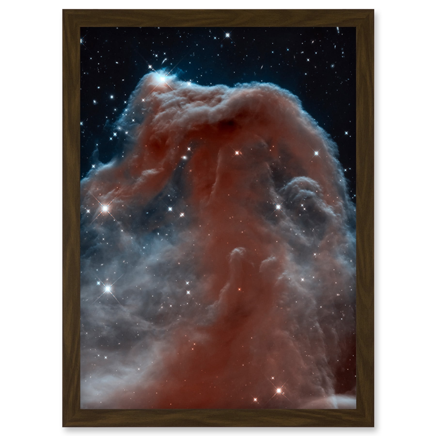 Hubble Space Telescope Image Horsehead Nebula In Orion Constellation ...