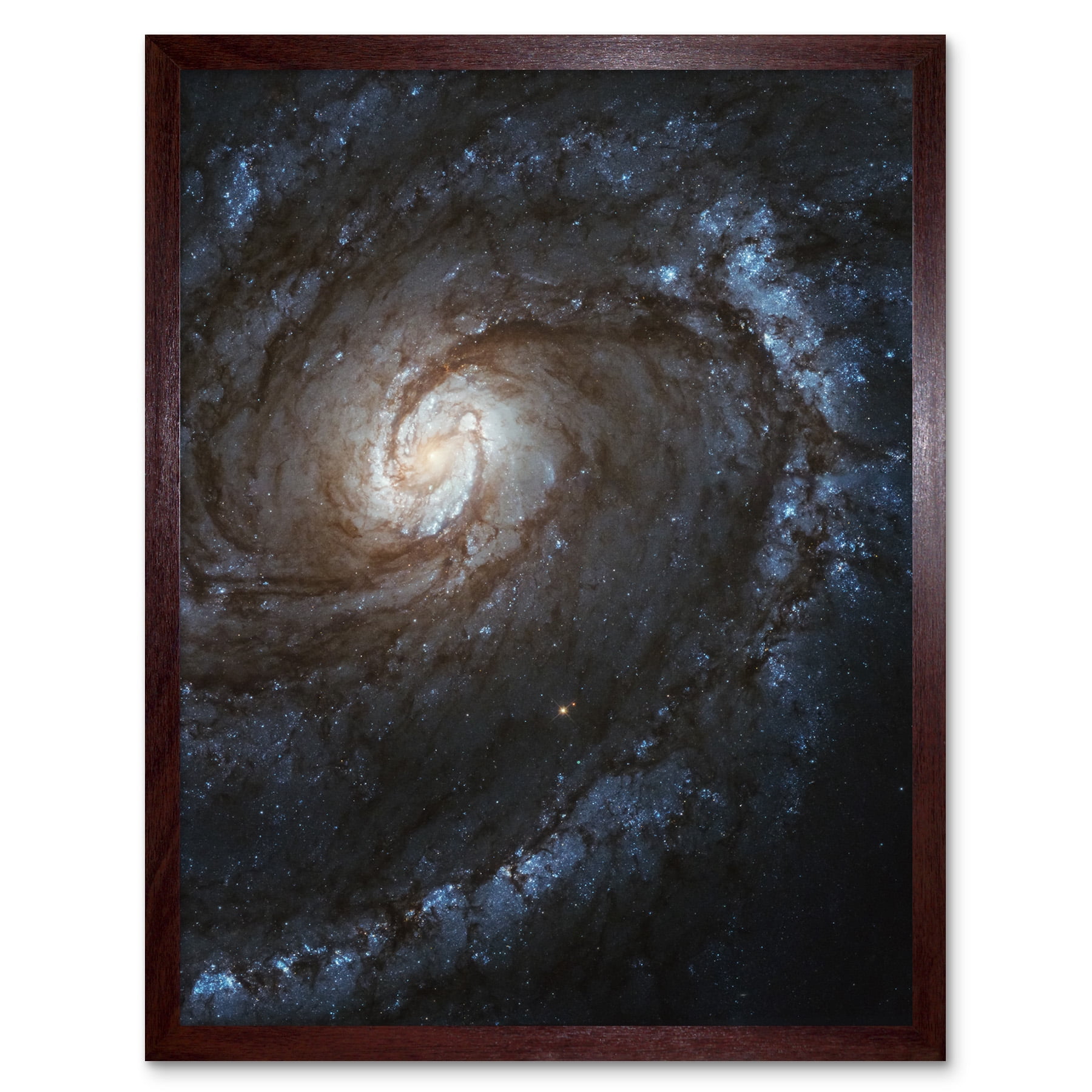 Hubble Space Telescope Image M100 WFC3 Spiral Galaxy With Two Blue ...