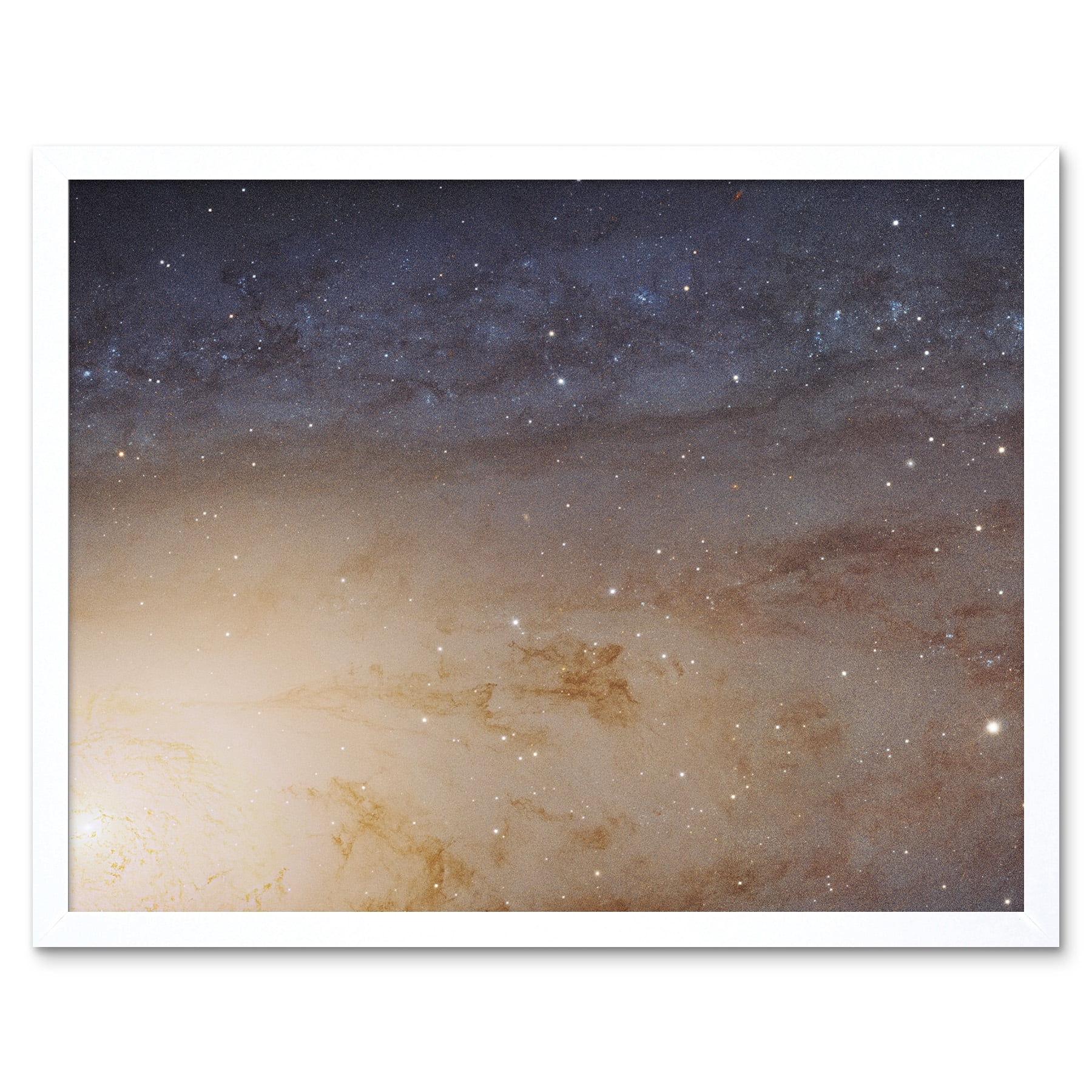 Hubble Space Telescope Image M31 Phat Mosaic Andromeda Galaxy Disk ...