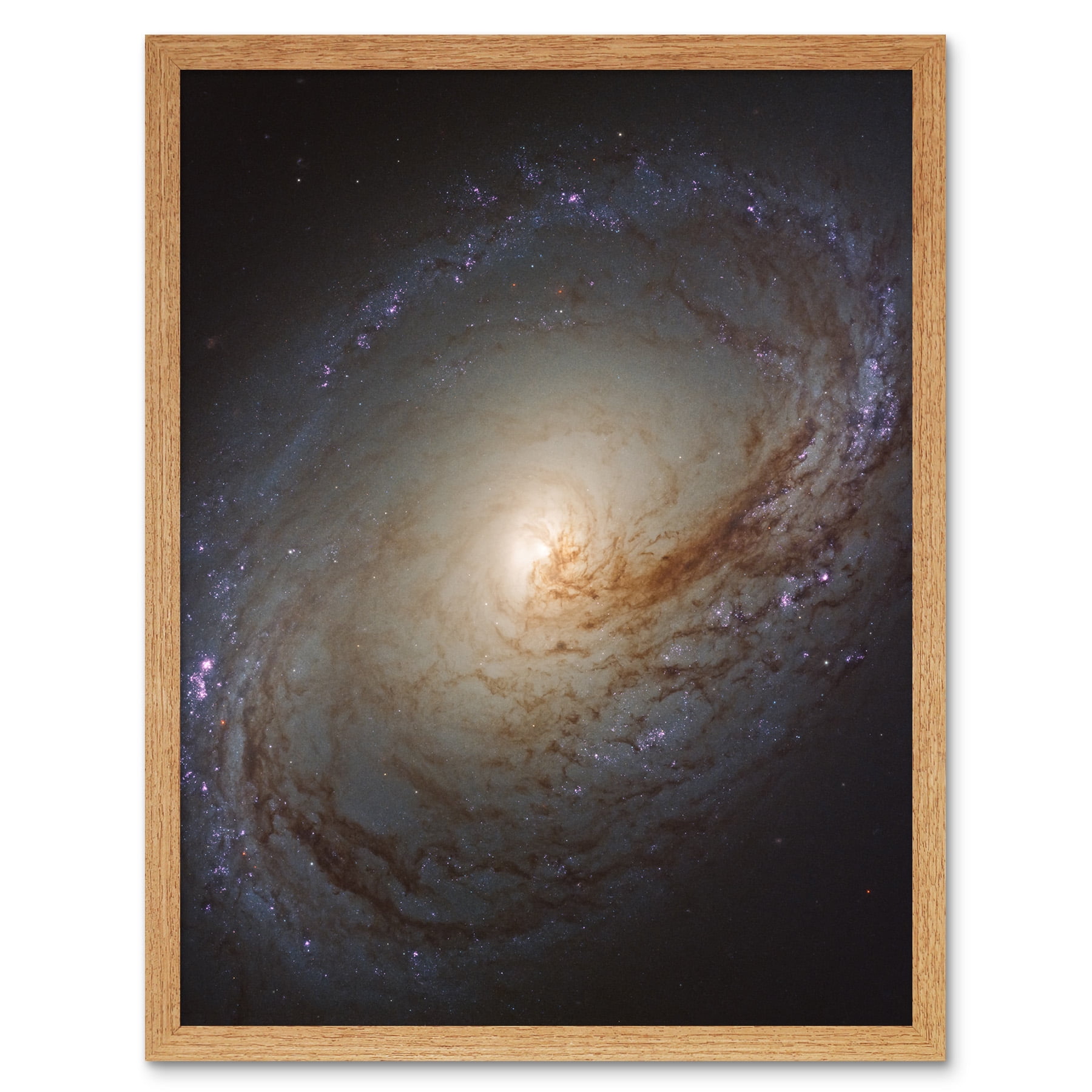 Hubble Space Telescope Image NGC 3368 Orange Blue Galaxy Also Known As ...