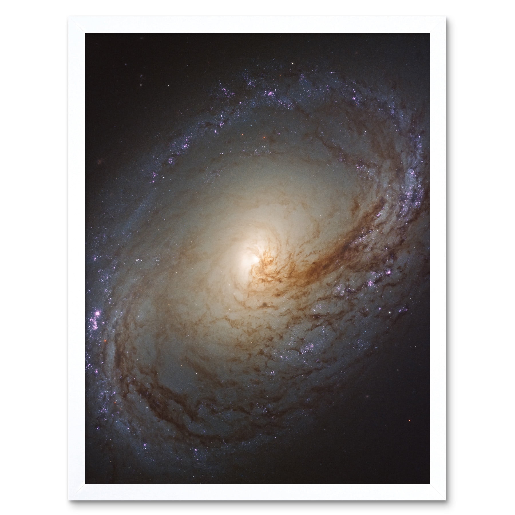 Hubble Space Telescope Image NGC 3368 Orange Blue Galaxy Also Known As ...