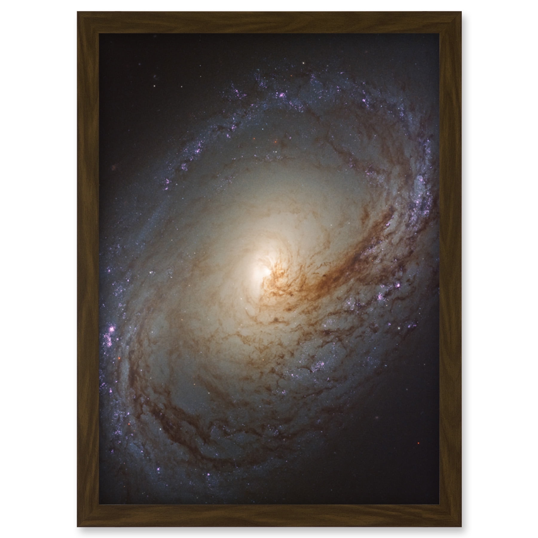 Hubble Space Telescope Image NGC 3368 Orange Blue Galaxy Also Known As ...