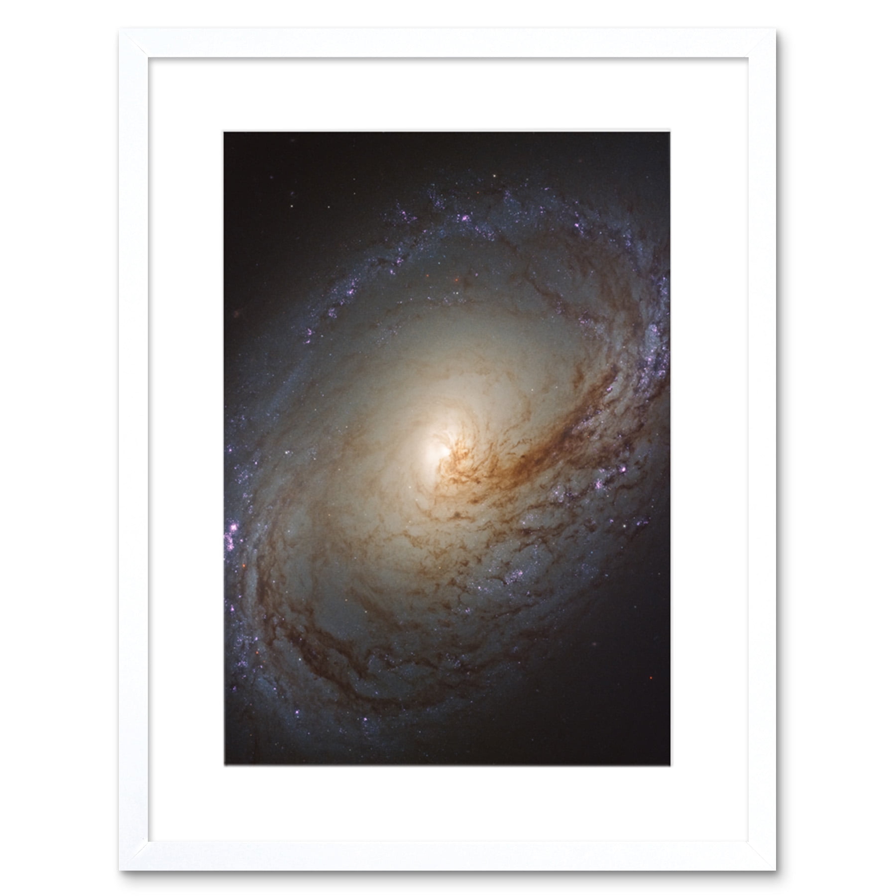 Hubble Space Telescope Image NGC 3368 Orange Blue Galaxy Also Known As ...