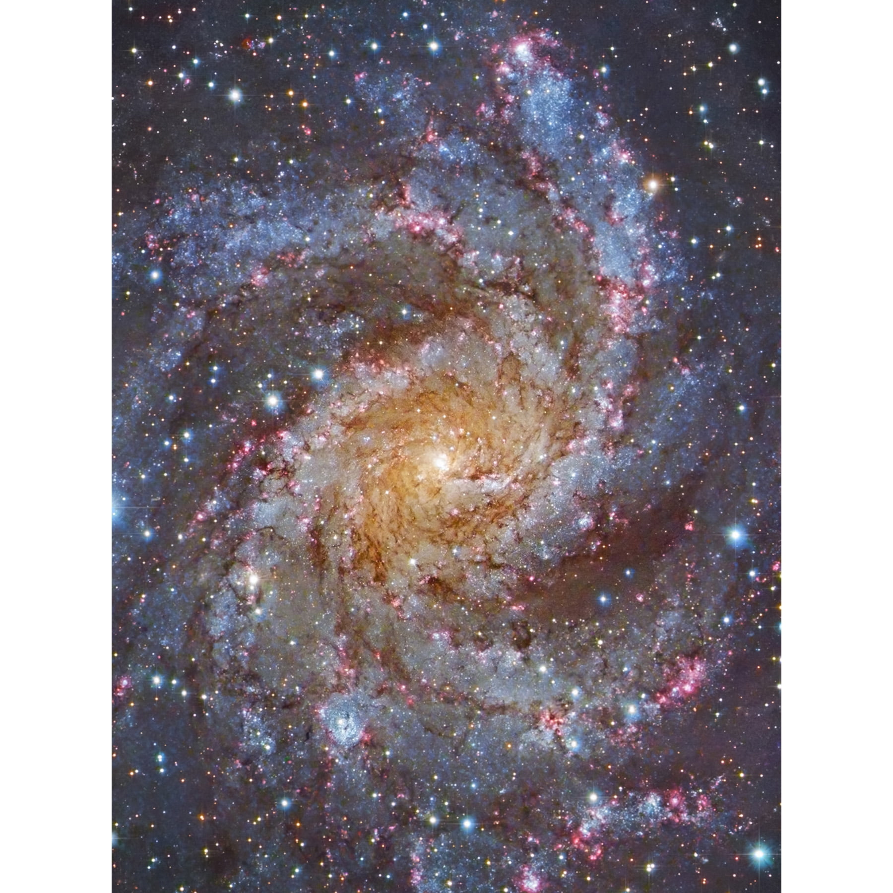 Hubble Space Telescope Image NGC 6946 Supernova Fireworks Galaxy Subaru ...
