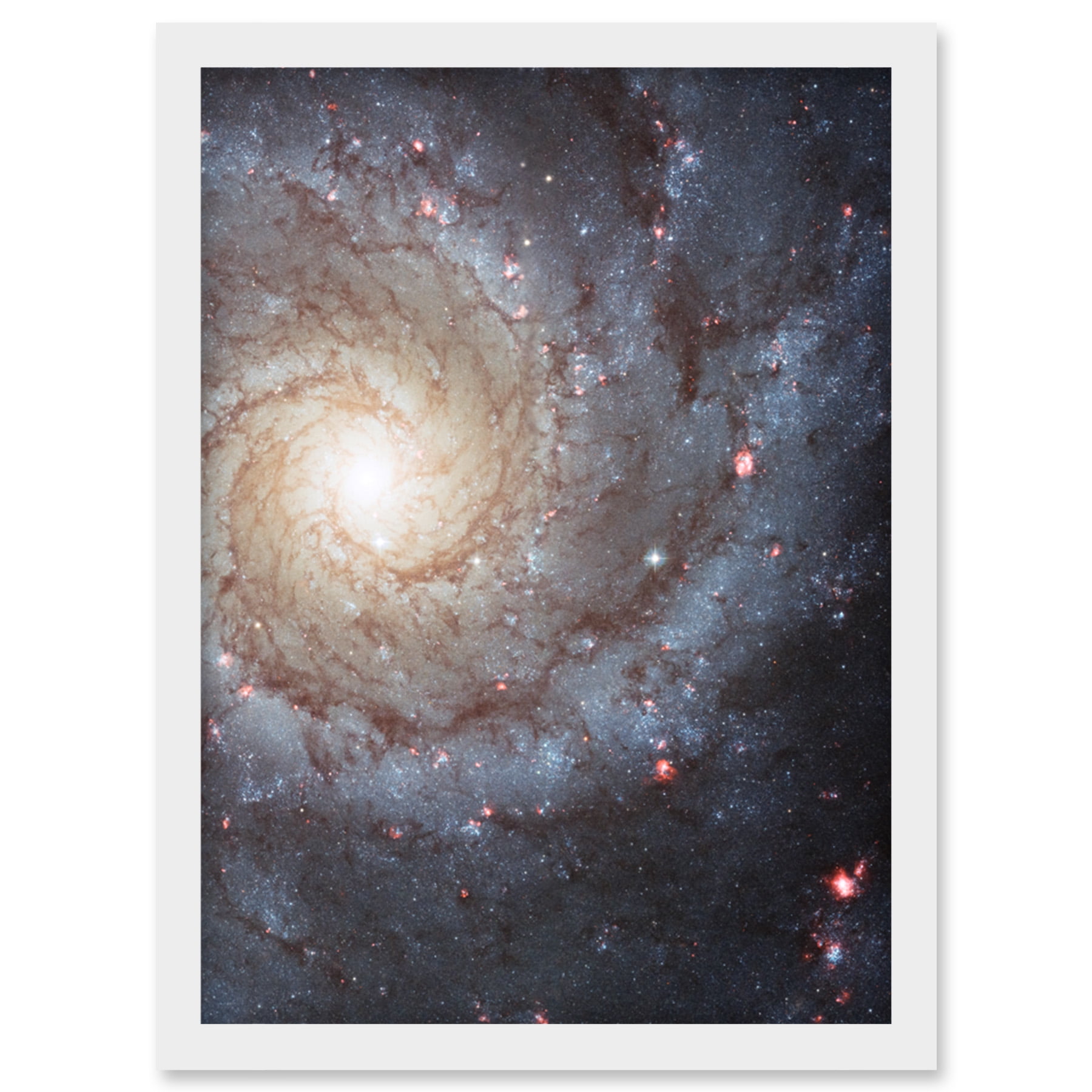 Hubble Space Telescope Image Spiral Galaxy M74 Blue Pink NGC 628 ...