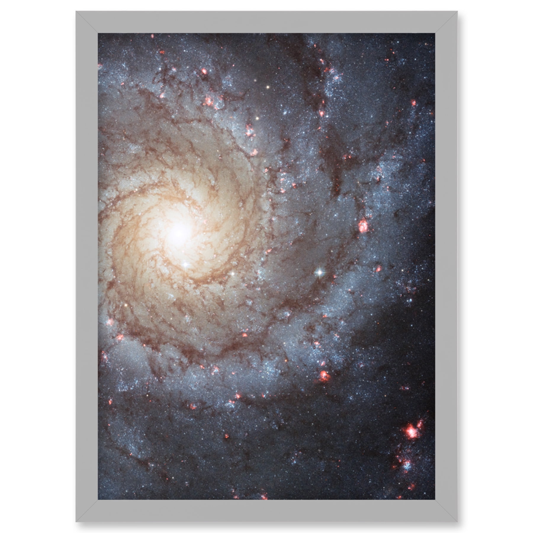 Hubble Space Telescope Image Spiral Galaxy M74 Blue Pink NGC 628 ...
