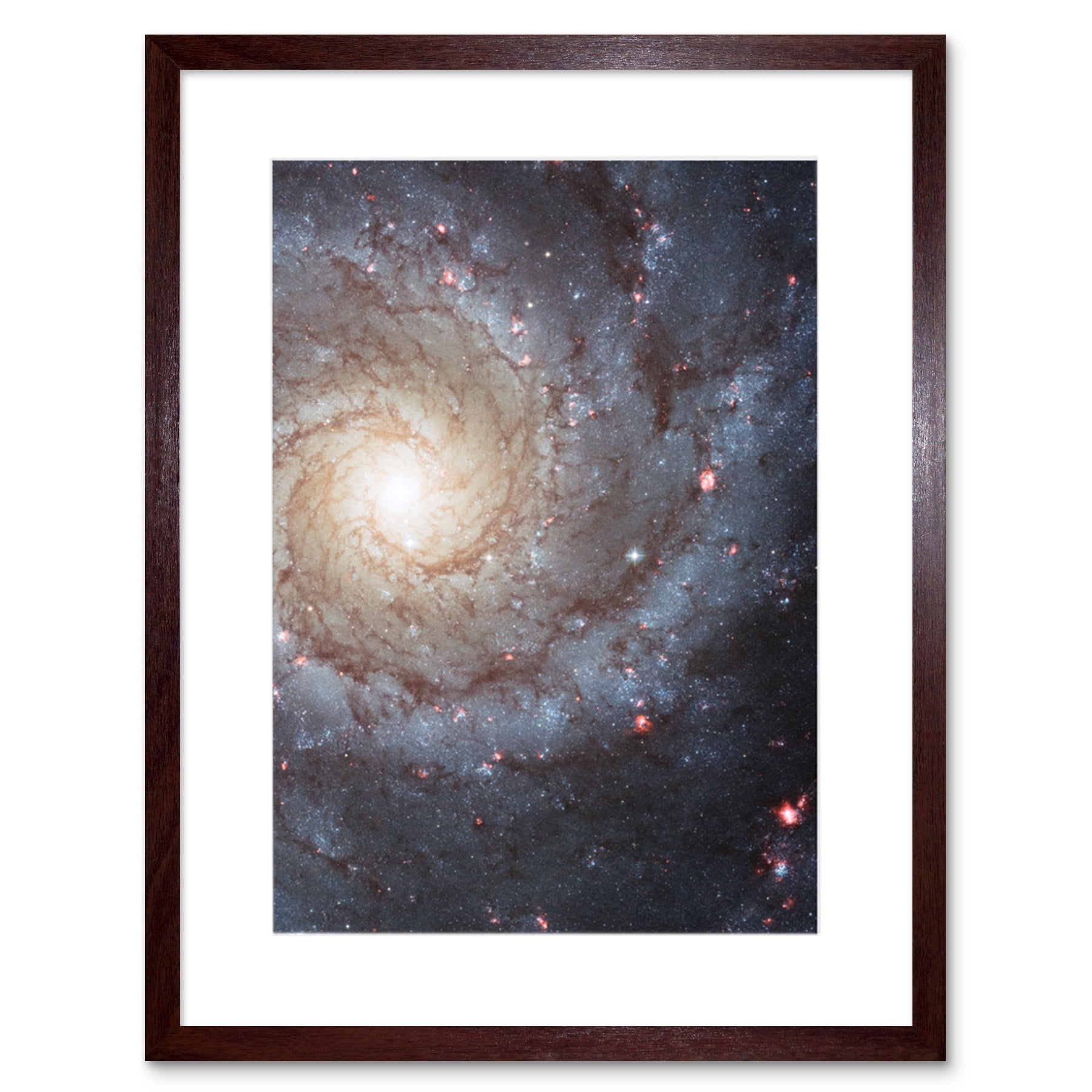 Hubble Space Telescope Image Spiral Galaxy M74 Blue Pink NGC 628 ...