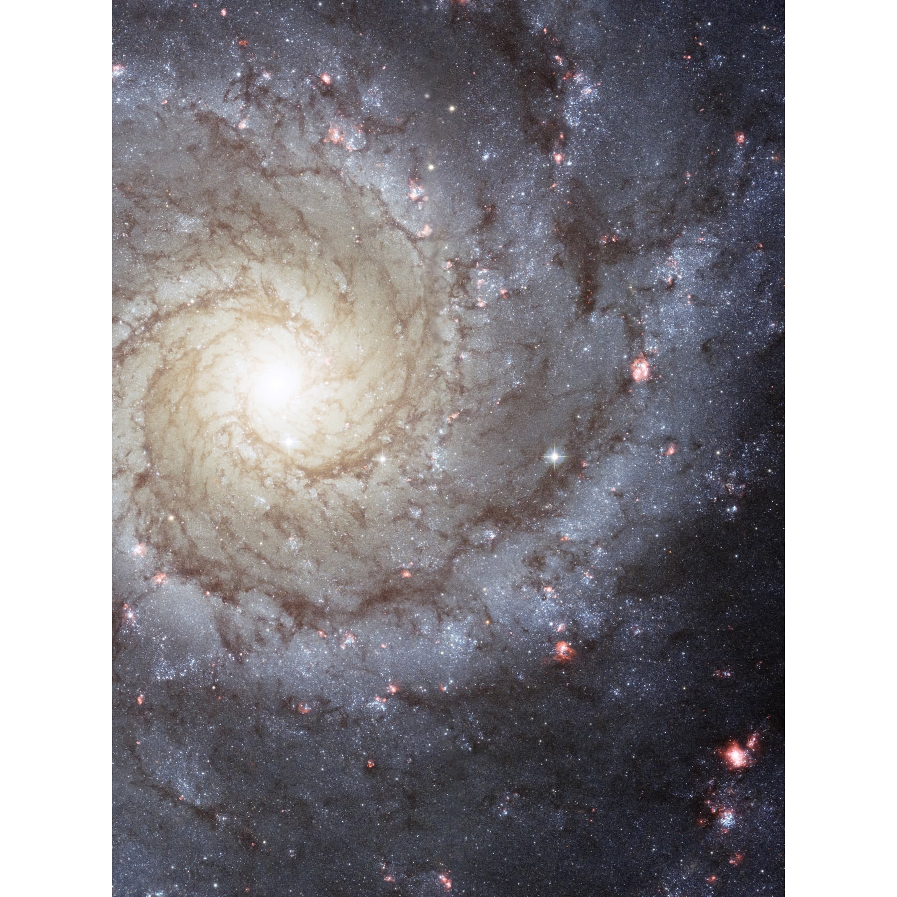 Hubble Space Telescope Image Spiral Galaxy M74 Blue Pink NGC 628 ...