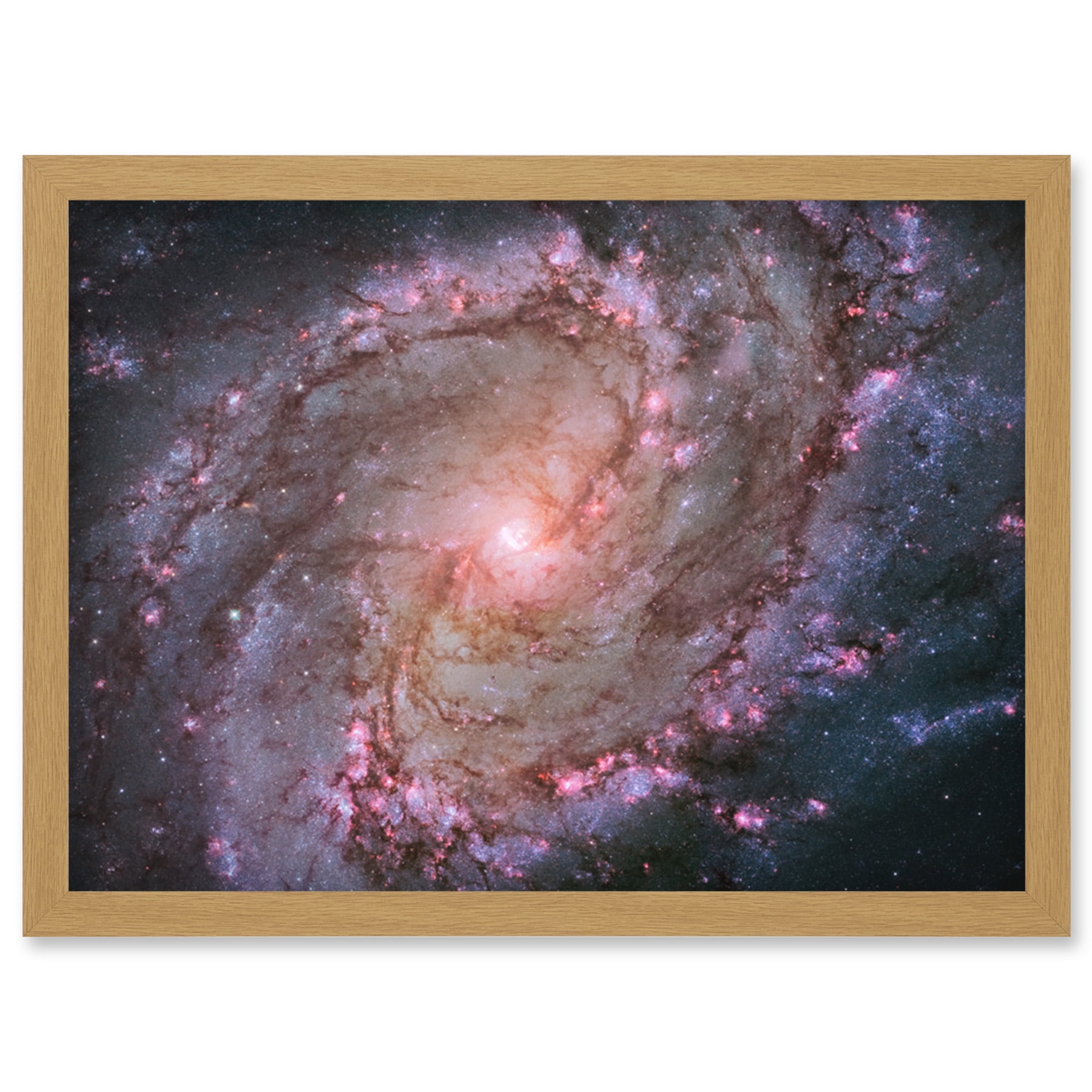Hubble Space Telescope Image Spiral Galaxy M83 Red Blue Purple Star ...