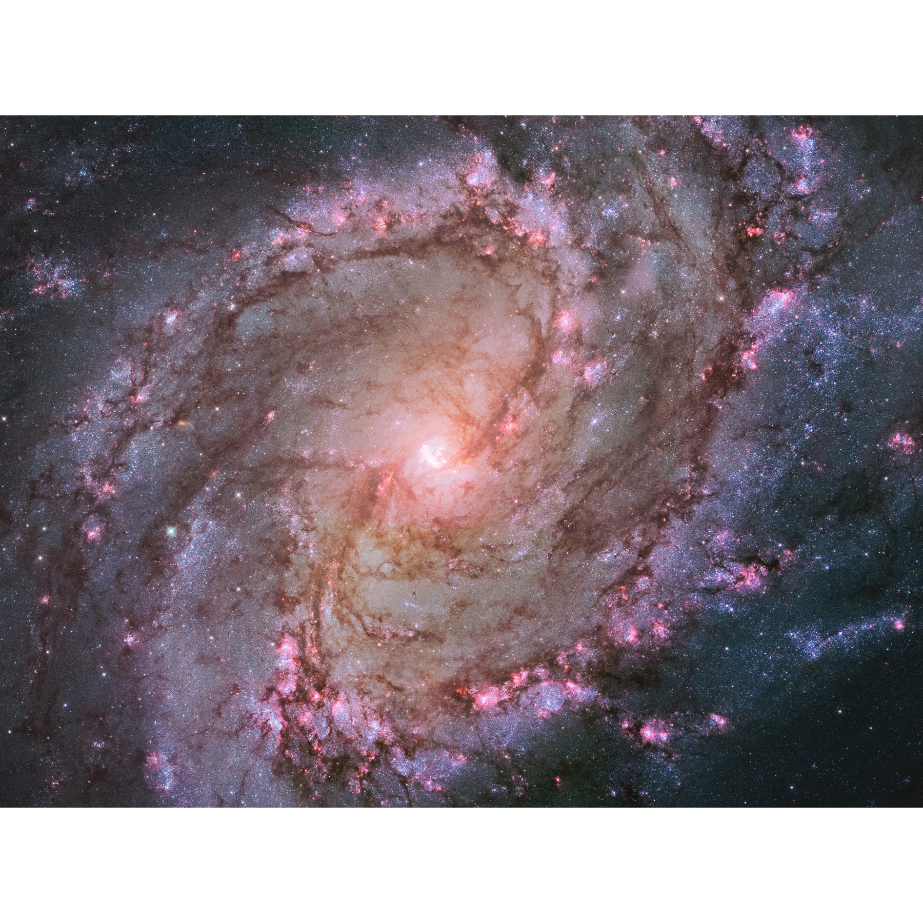 Hubble Space Telescope Image Spiral Galaxy M83 Red Blue Purple Star ...