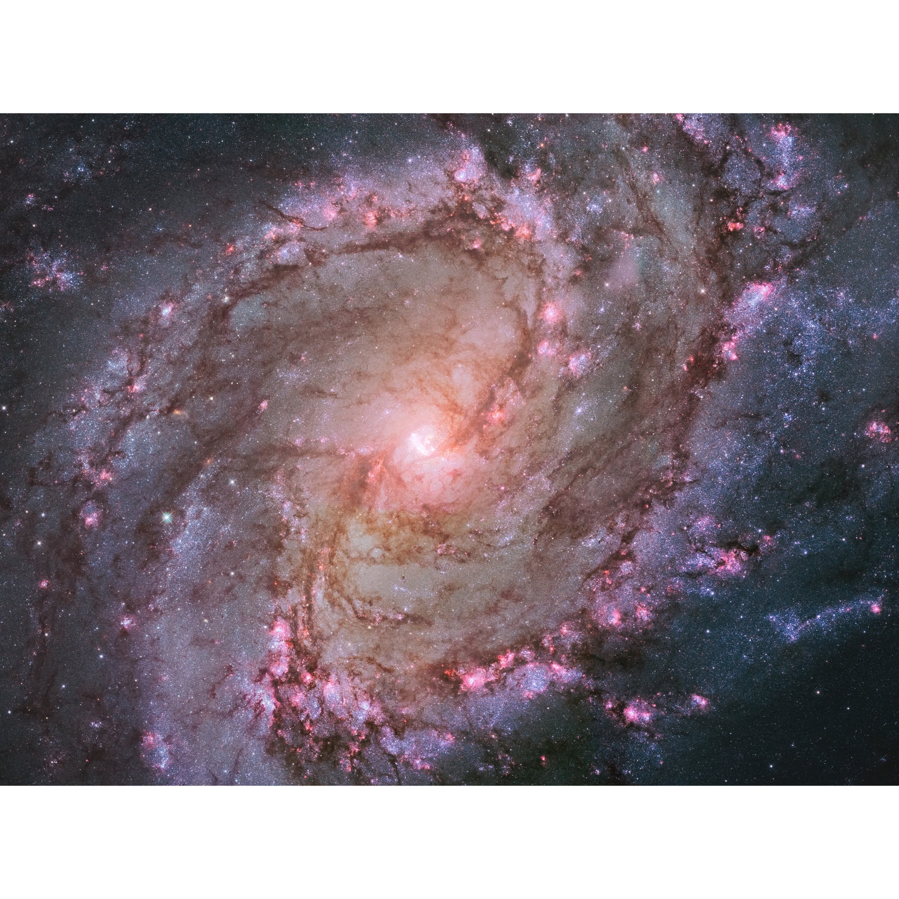 Hubble Space Telescope Image Spiral Galaxy M83 Red Blue Purple Star ...