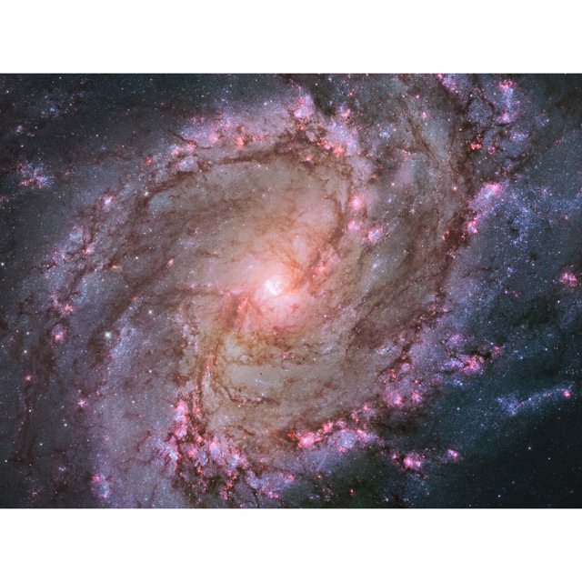 Hubble Space Telescope Image Spiral Galaxy M83 Red Blue Purple Star ...