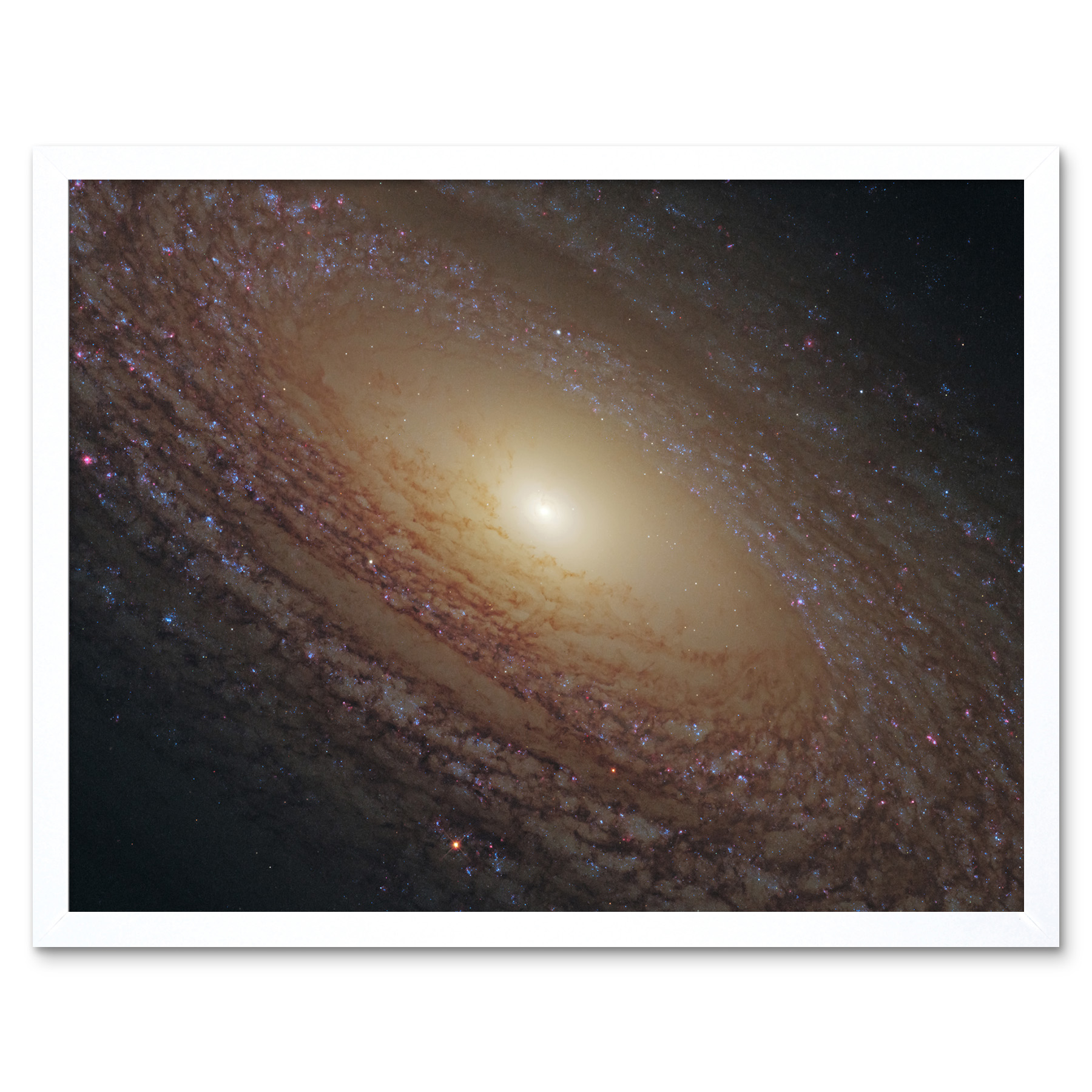 Hubble Space Telescope Image Spiral Galaxy NGC 2841 Blue Pink Emission ...
