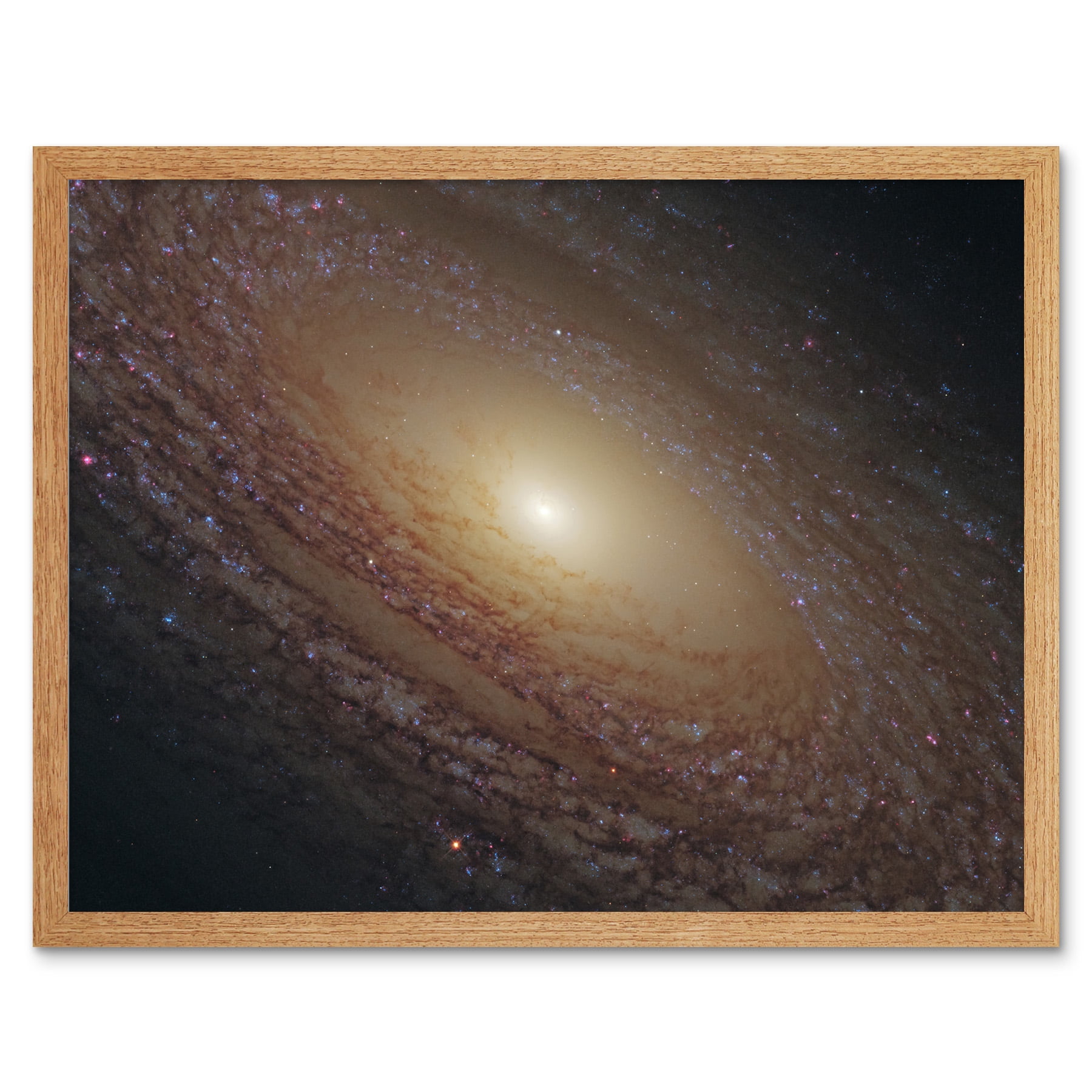 Hubble Space Telescope Image Spiral Galaxy NGC 2841 Blue Pink Emission ...