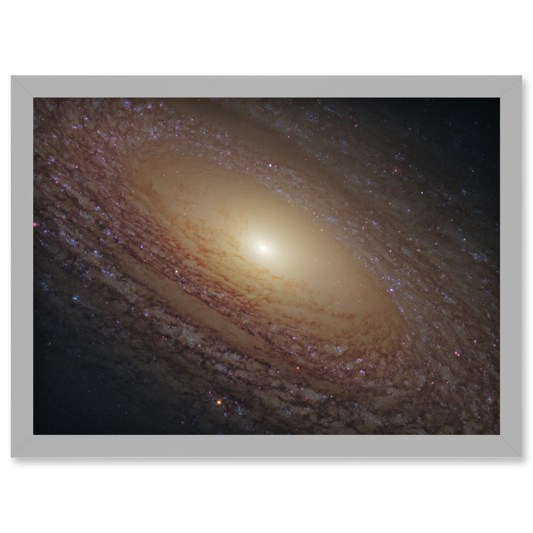 Hubble Space Telescope Image Spiral Galaxy NGC 2841 Blue Pink Emission ...