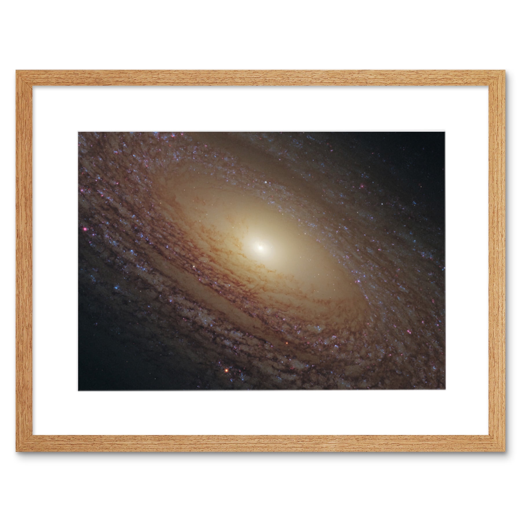 Hubble Space Telescope Image Spiral Galaxy NGC 2841 Blue Pink Emission ...