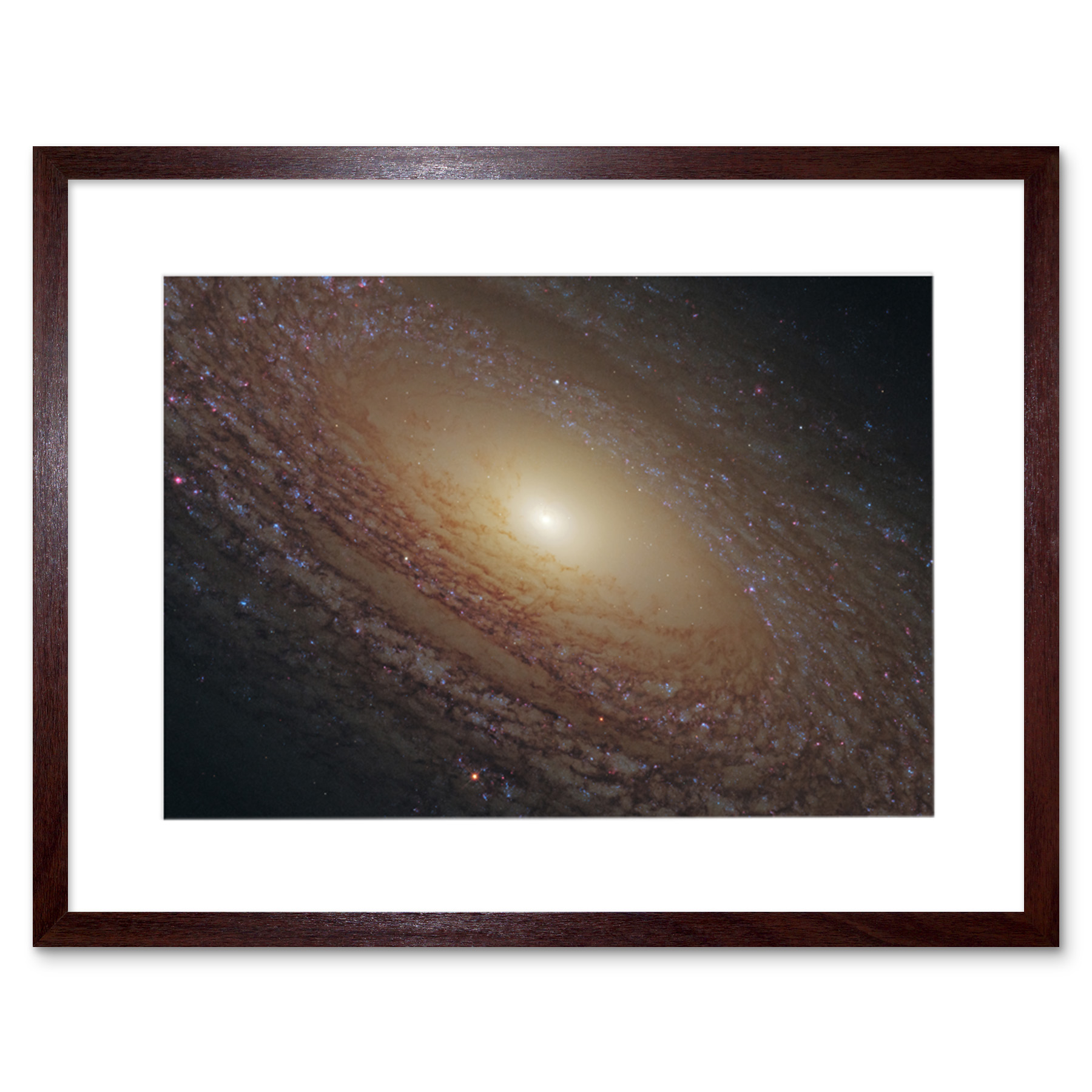 Hubble Space Telescope Image Spiral Galaxy NGC 2841 Blue Pink Emission ...