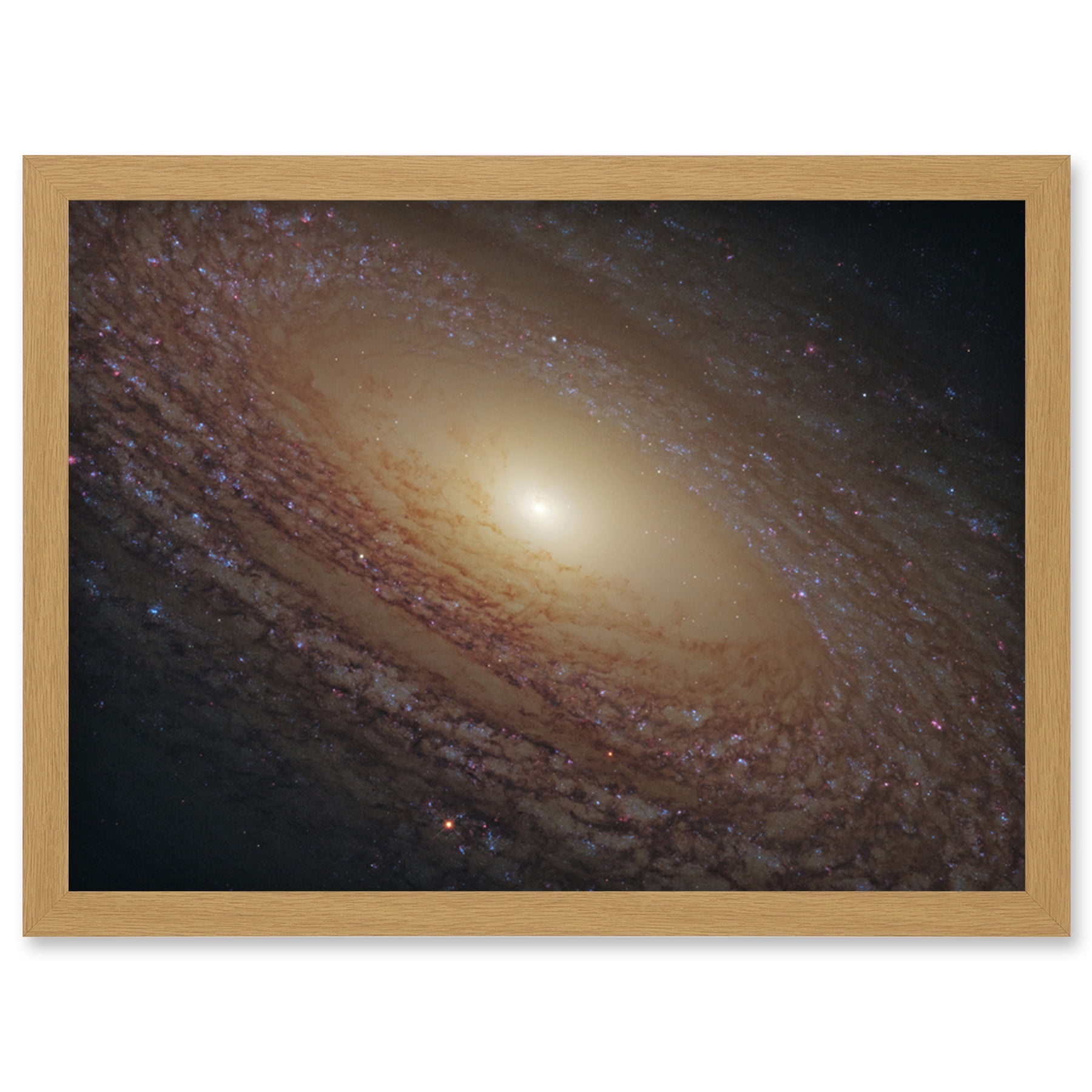 Hubble Space Telescope Image Spiral Galaxy NGC 2841 Blue Pink Emission ...