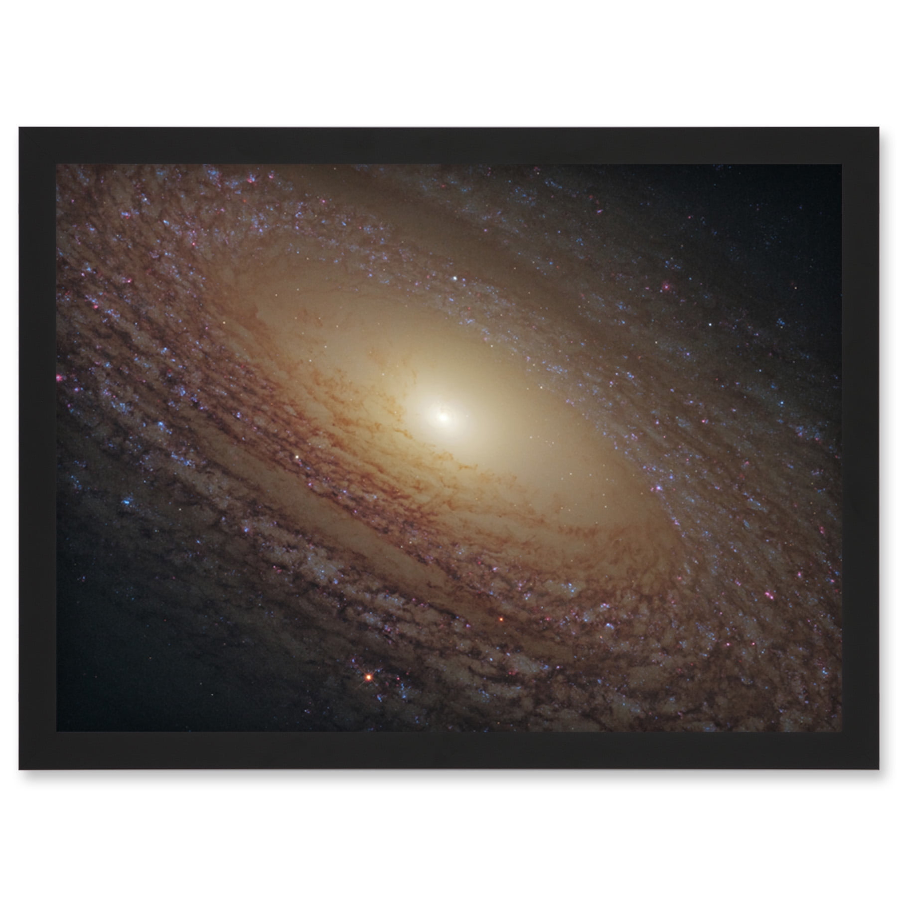 Hubble Space Telescope Image Spiral Galaxy NGC 2841 Blue Pink Emission ...