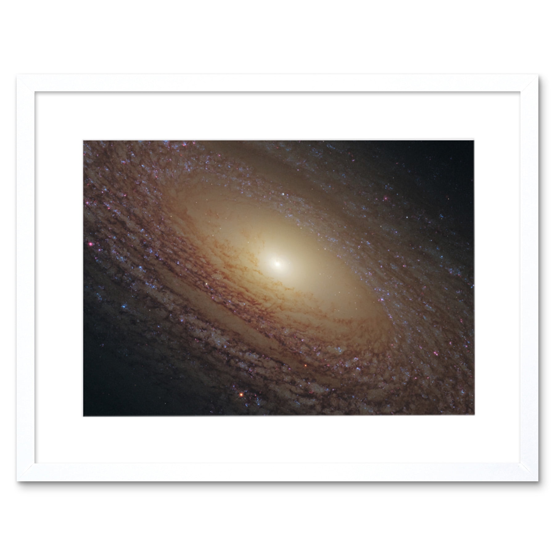 Hubble Space Telescope Image Spiral Galaxy NGC 2841 Blue Pink Emission ...