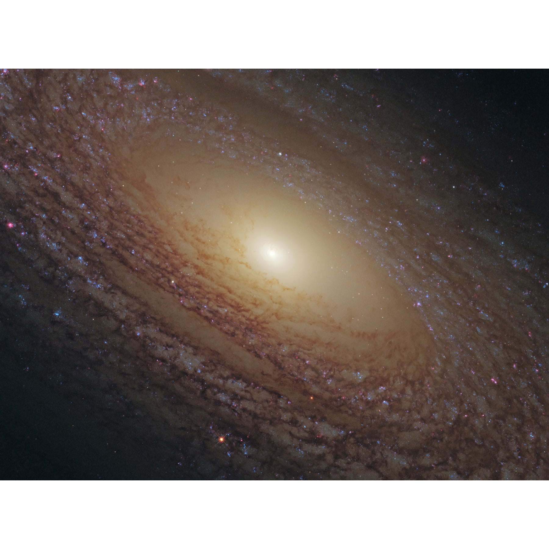 Hubble Space Telescope Image Spiral Galaxy NGC 2841 Blue Pink Emission ...