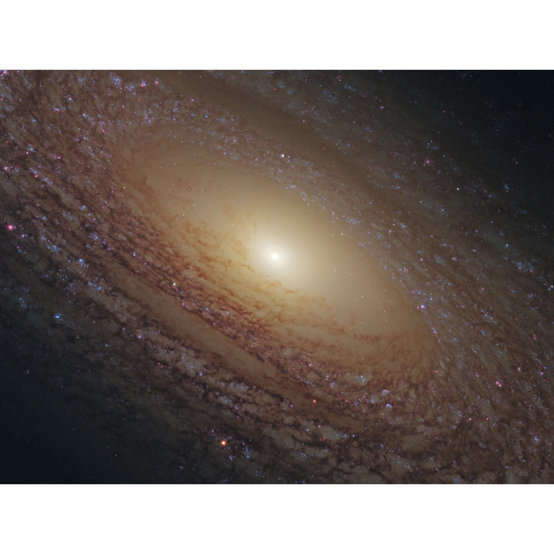 Hubble Space Telescope Image Spiral Galaxy NGC 2841 Blue Pink Emission ...