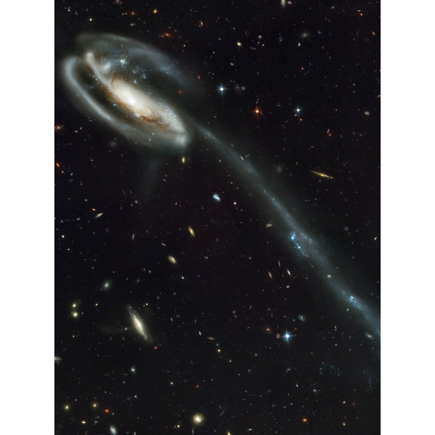 Hubble Space Telescope Image The Tadpole Spiral Galaxy Gravitational ...