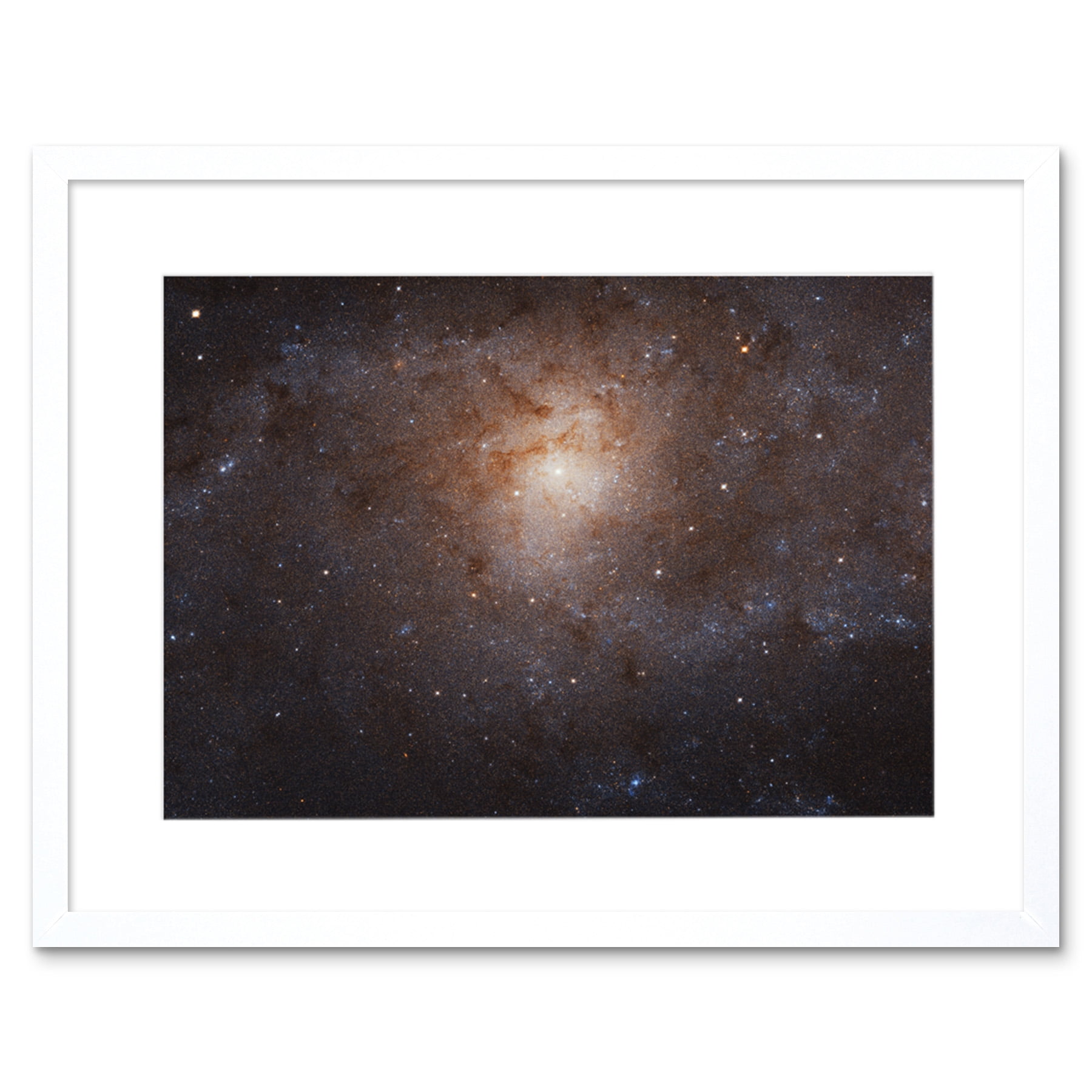 Hubble Space Telescope Image Triangulum Spiral Galaxy M33 Crop Blue ...