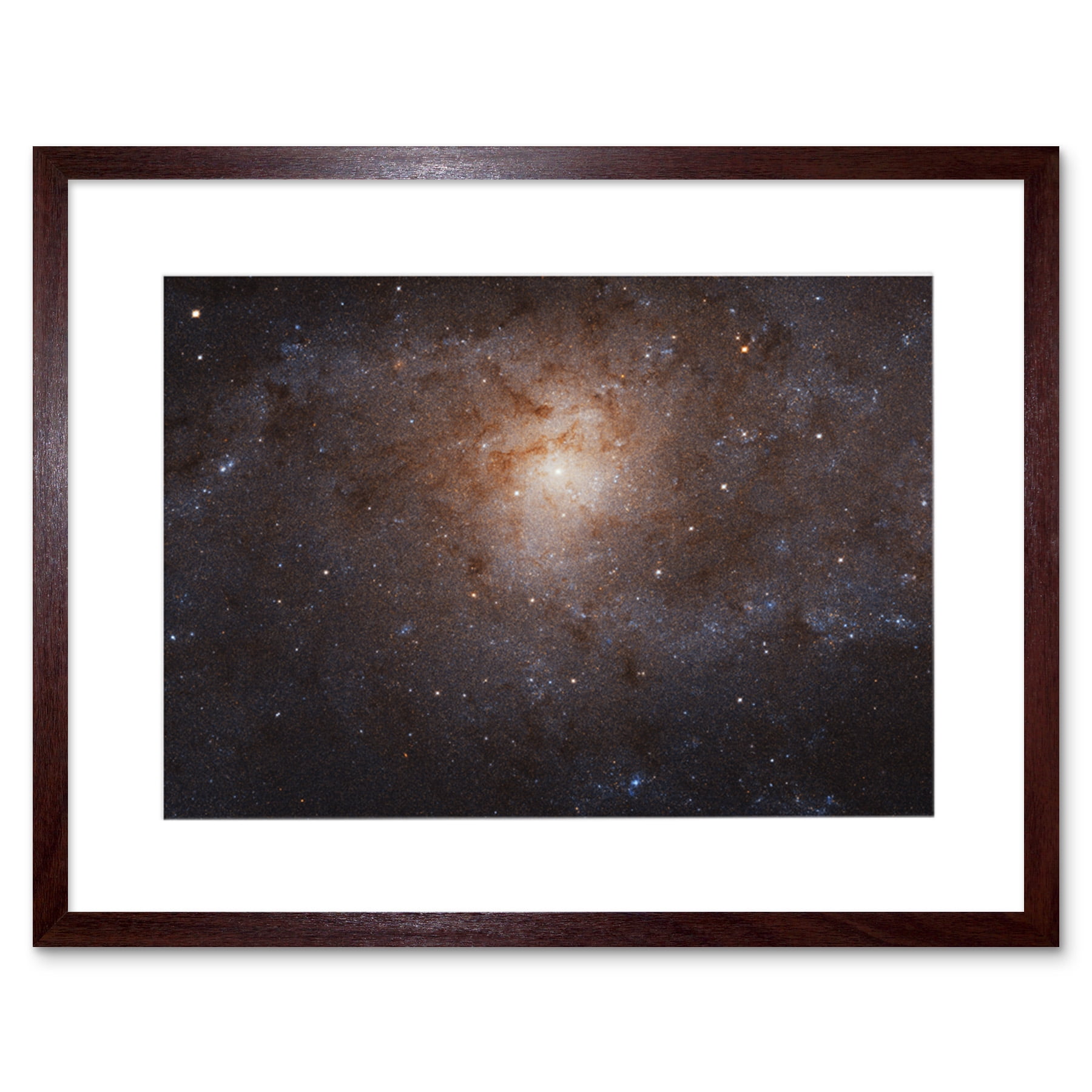 Hubble Space Telescope Image Triangulum Spiral Galaxy M33 Crop Blue ...