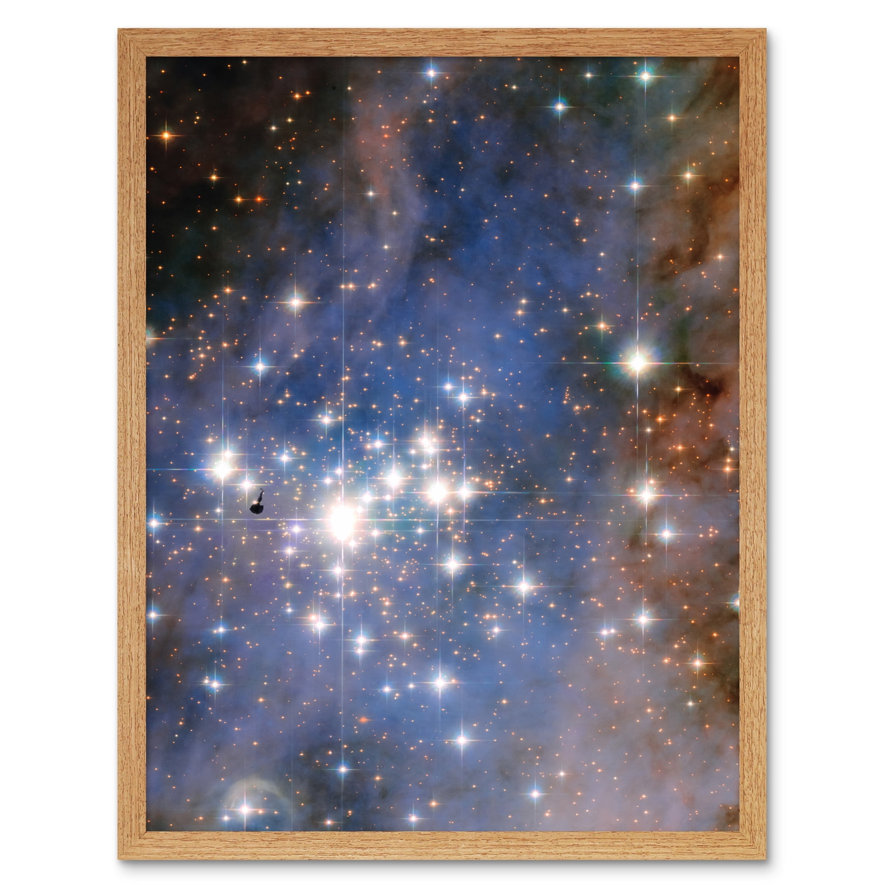 Hubble Space Telescope Image Trumpler 14 Large Luminous Blue Stellar ...