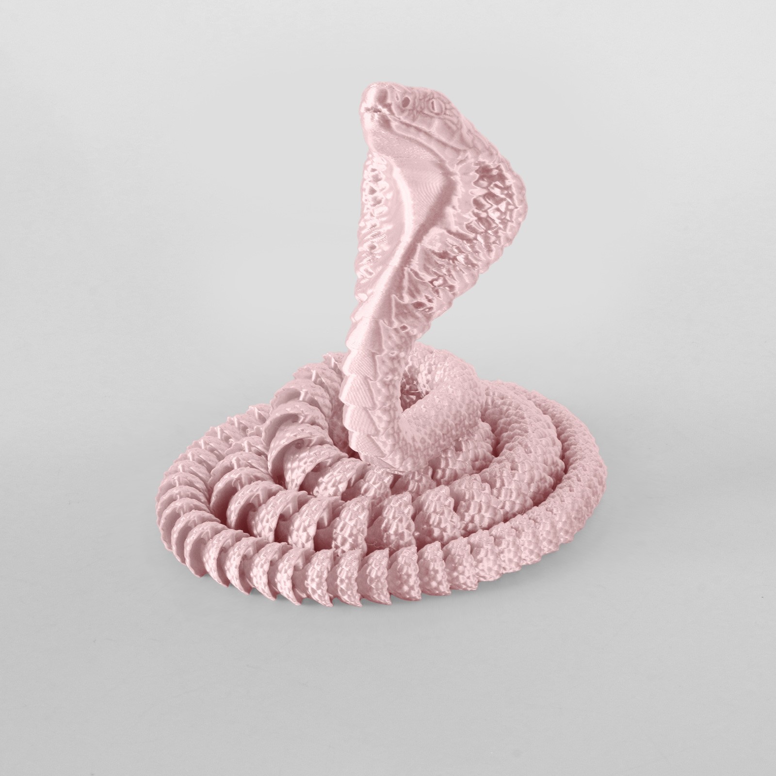 Huchen 3D Printed Snake,3D Printed Animals,3D Snake,3-D Printed Animals ...