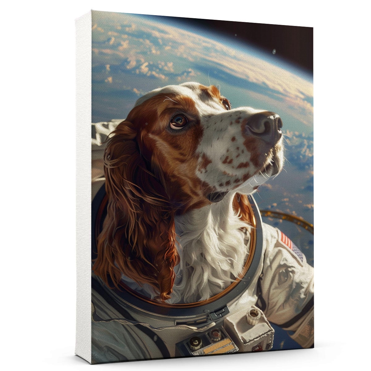 Hudo Irish Redand White Setter Space Poster, Dog Wall Art, Irish Redand ...