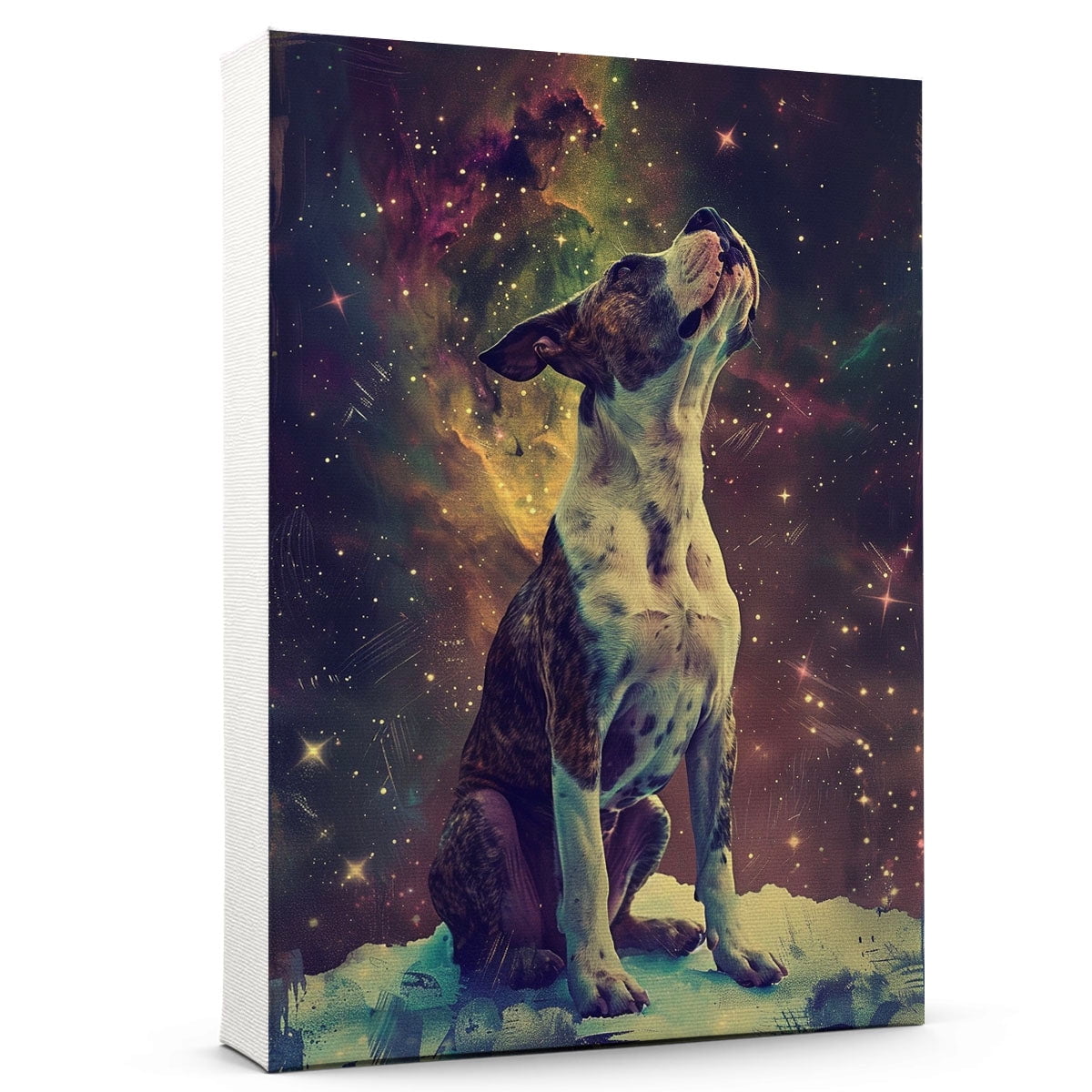 Hudo Pet 8X12 Unframed Starry Night Van Gogh Inspired American ...