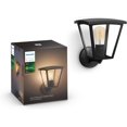 Hue Inara Outdoor Smart Wall Light, Black - E26 White Filament LED Bulb ...