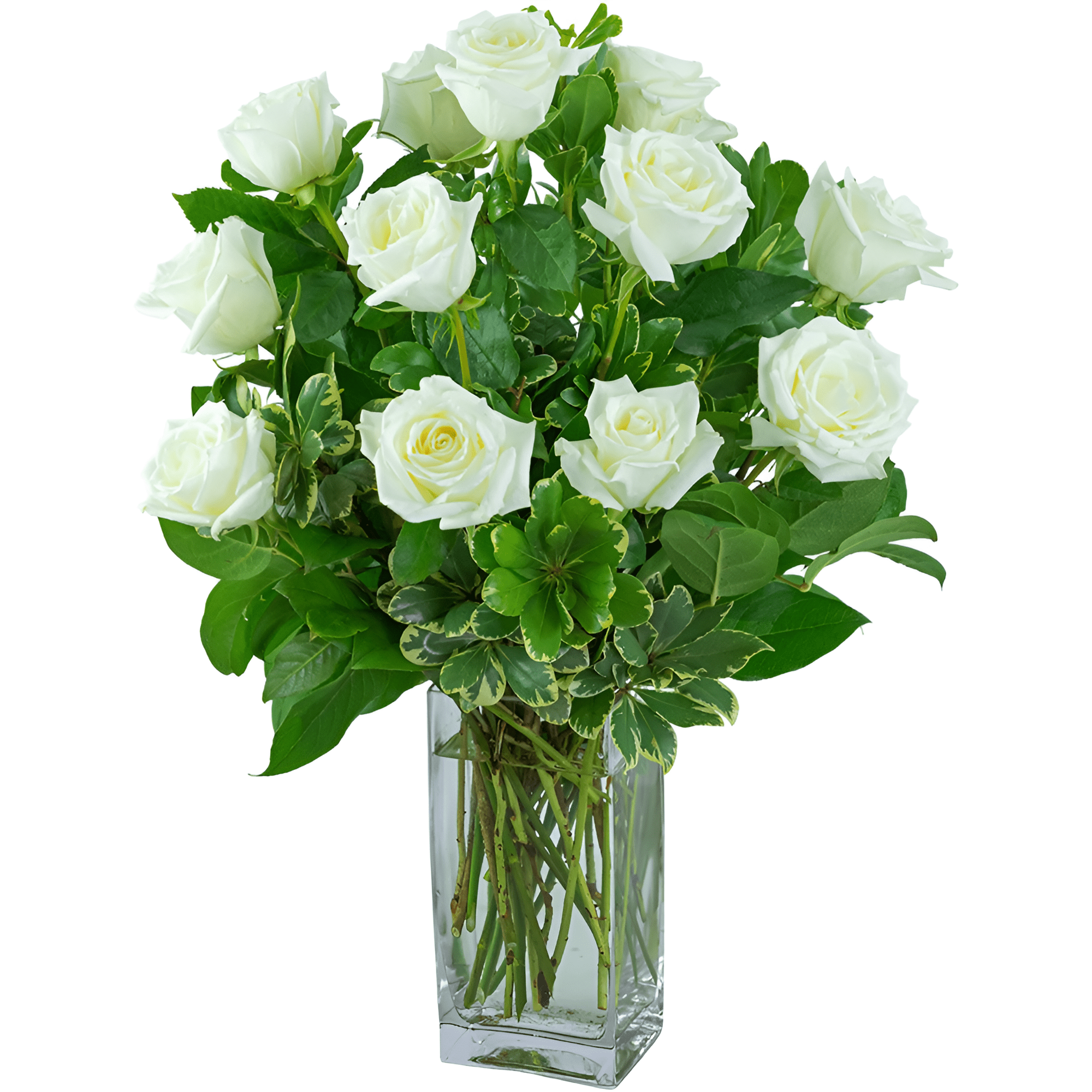Huff's Flowers White Roses 12 - Walmart.com